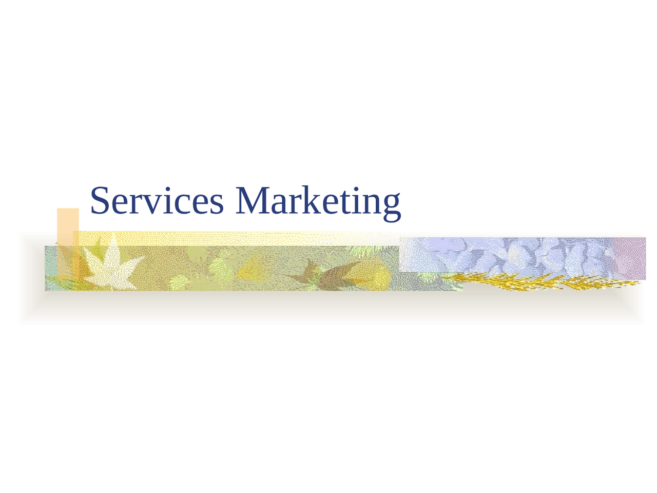 Service Marketing Introduction Docsity