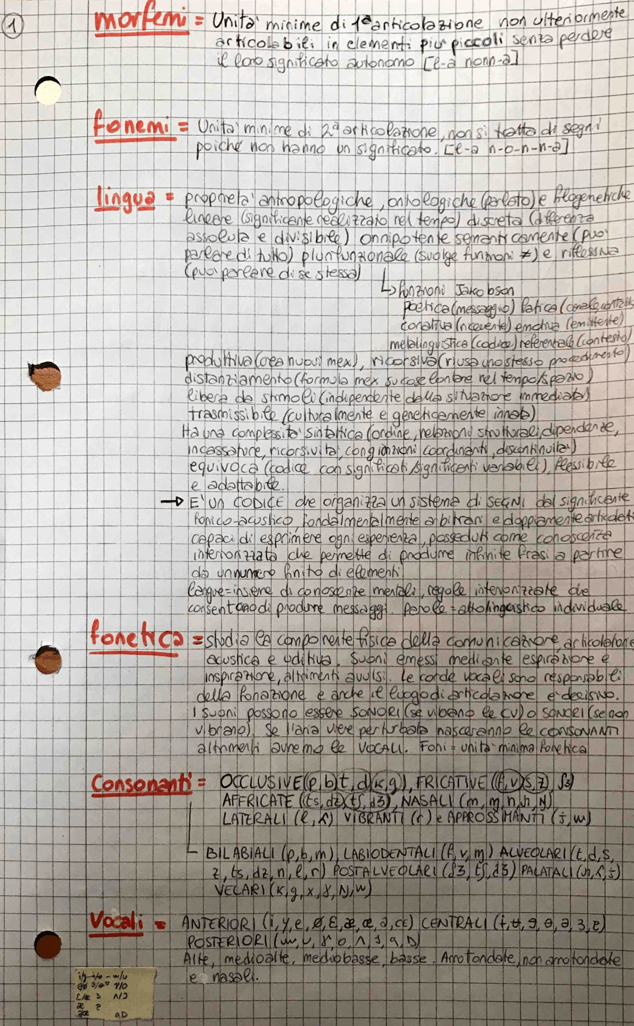 La Linguistica” Berrutocerruti Docsity