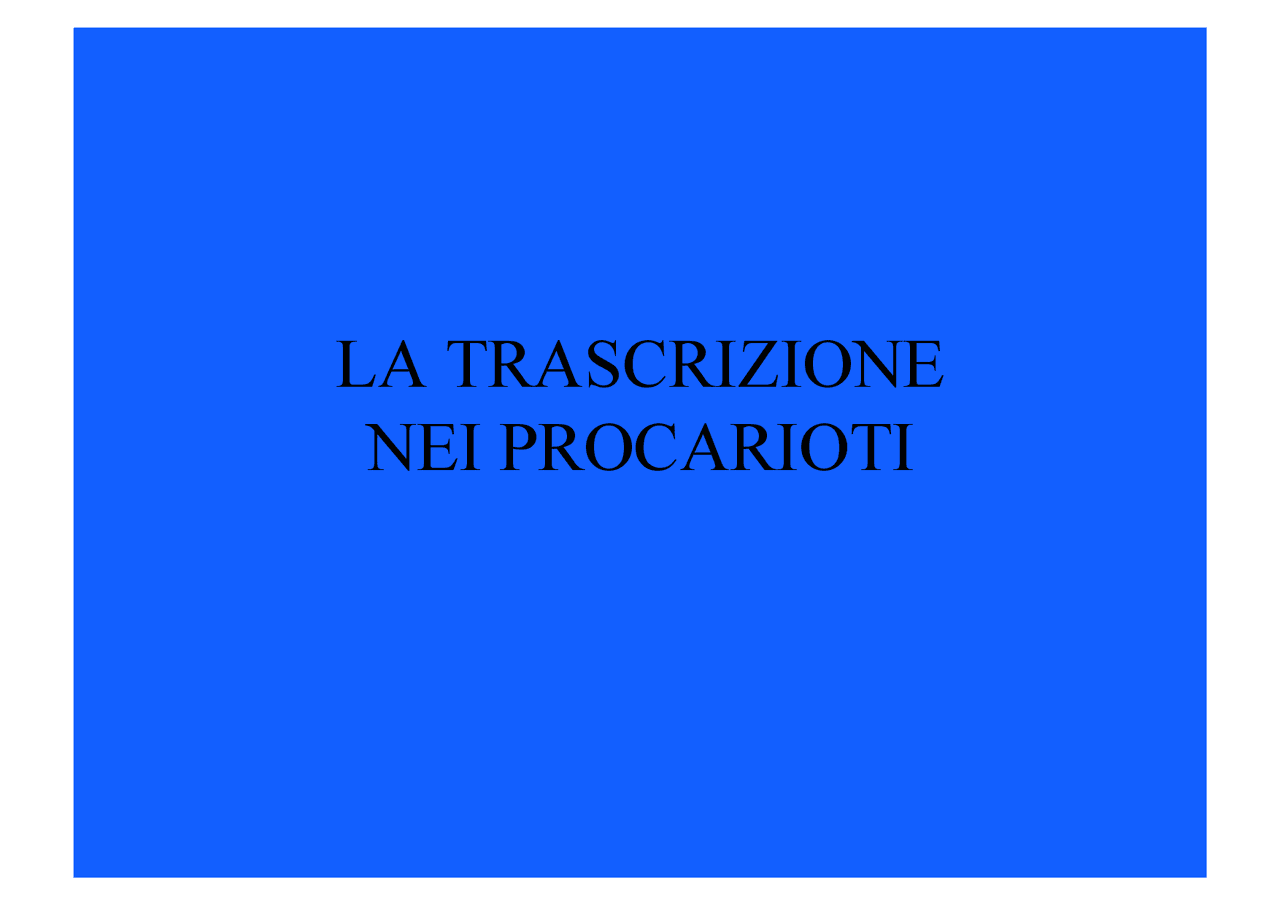 Trascrizione Procarioti Biologia Molecolare Docsity