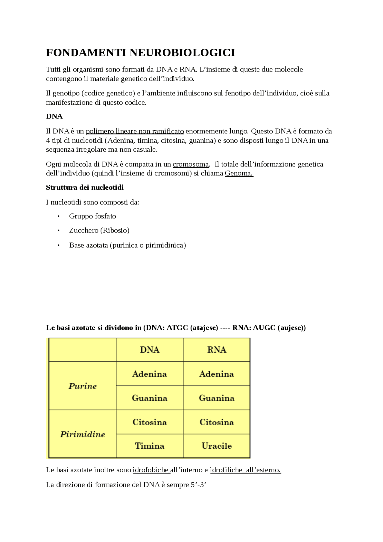 Riassunto Slides Fondamenti Neurobiologici Docsity
