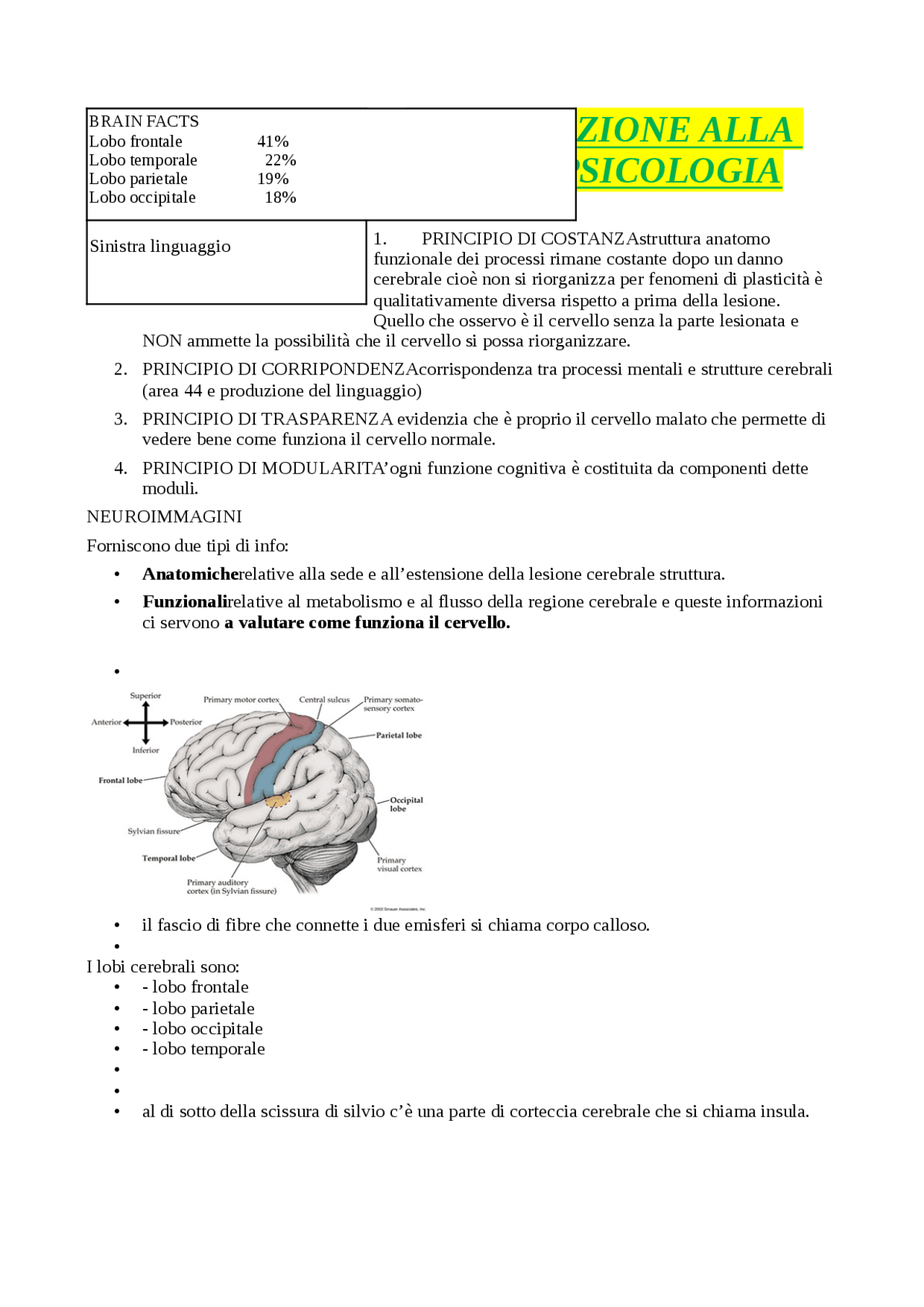 Schemi Appunti E Slides Neuropsicologia Docsity