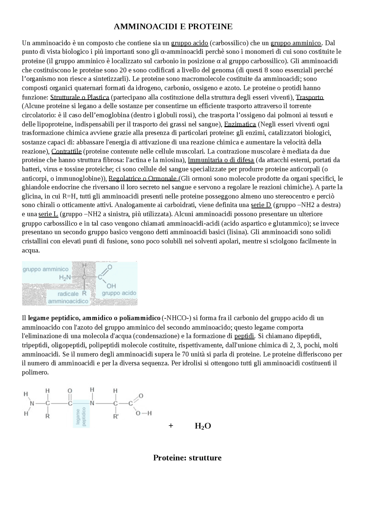 Amminoacidi E Proteine Legami Funzione E Struttura Docsity
