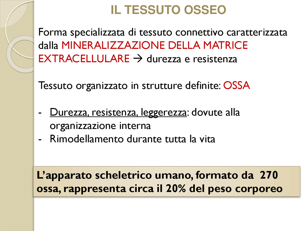 Tessuto Osseo Citologia Docsity