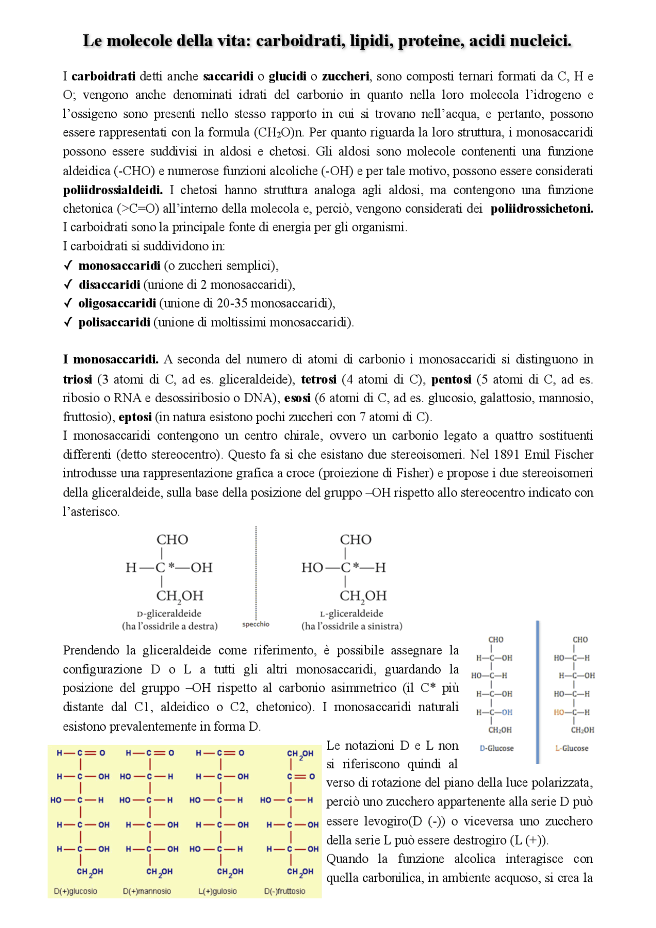Riassunto Sulle Biomolecole V Liceo Docsity