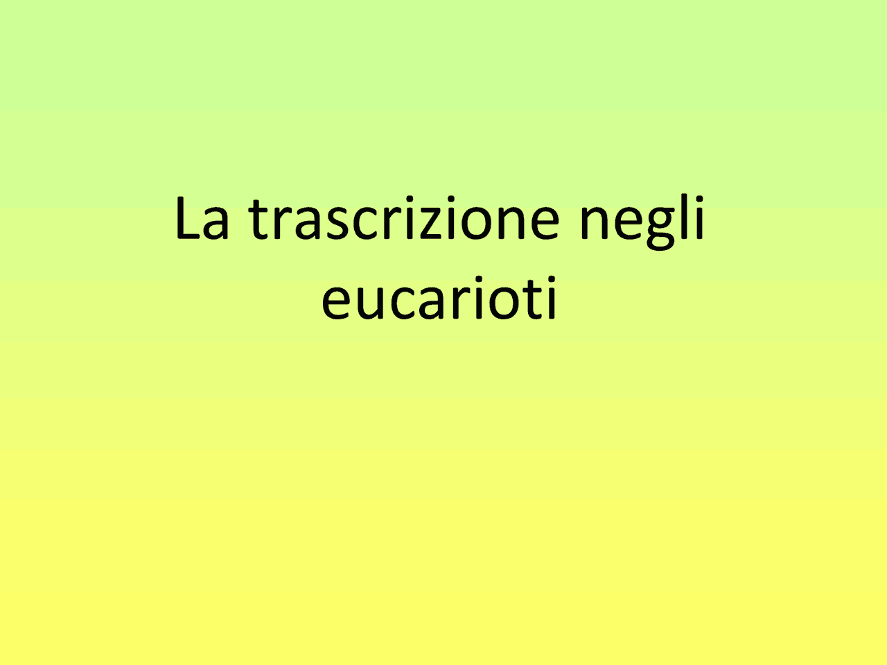 La Trascrizione Degli Eucarioti Docsity