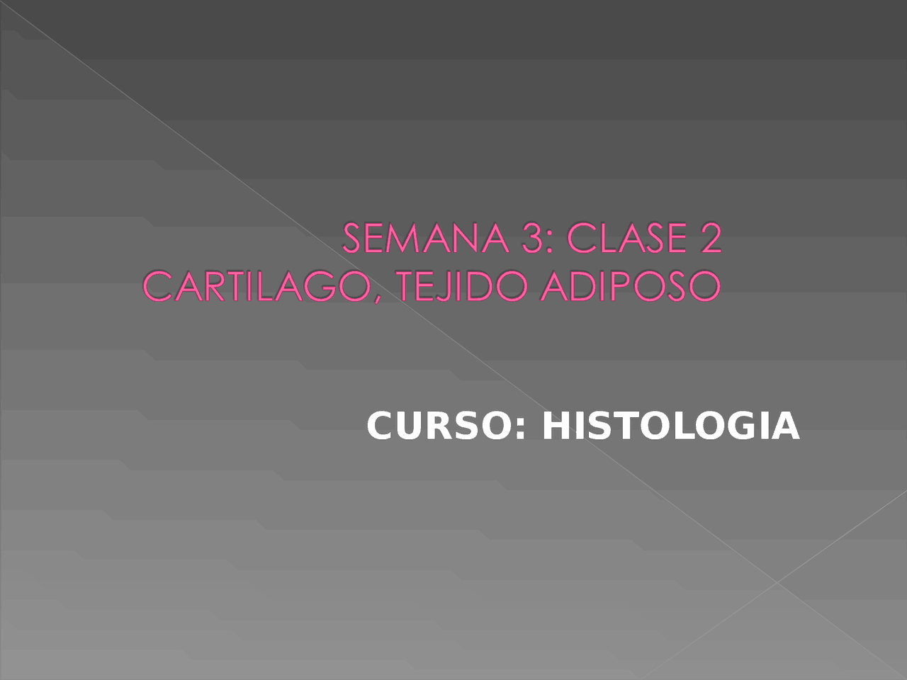 Tejido Cartilaginoso Diapositivas De Histología Docsity