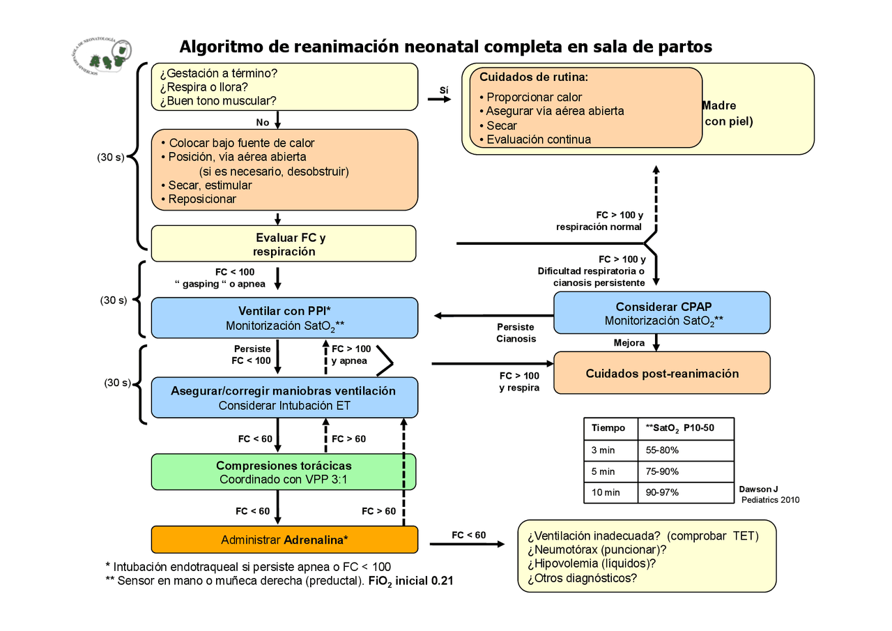 Algoritmos De Reanimacion Neonatal Esquemas Y Mapas Conceptuales De