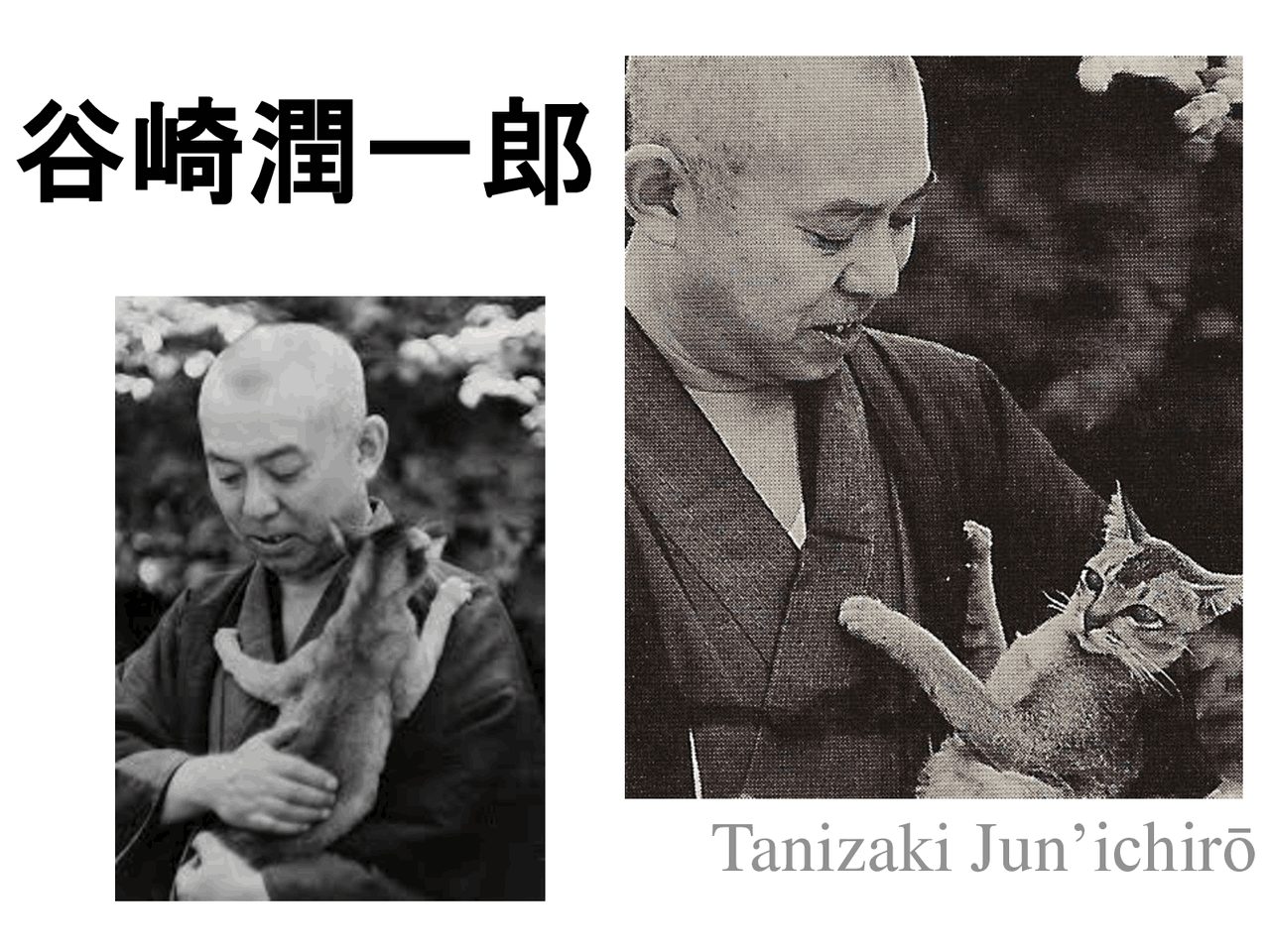 Vita e opere di Tanizaki Jun Ichiro - Docsity