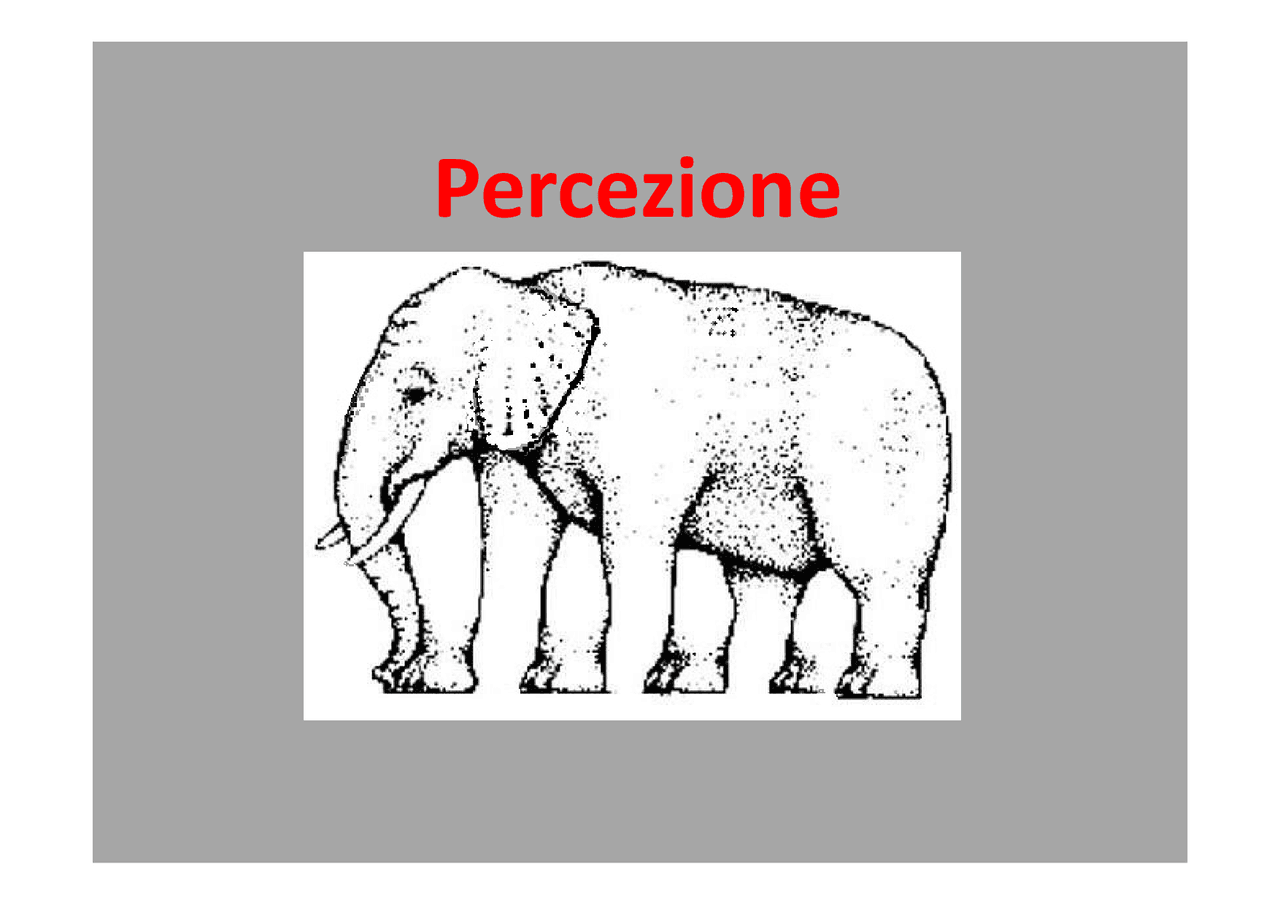 Apprendimento Motorio In Fase Di Sviluppo Docsity