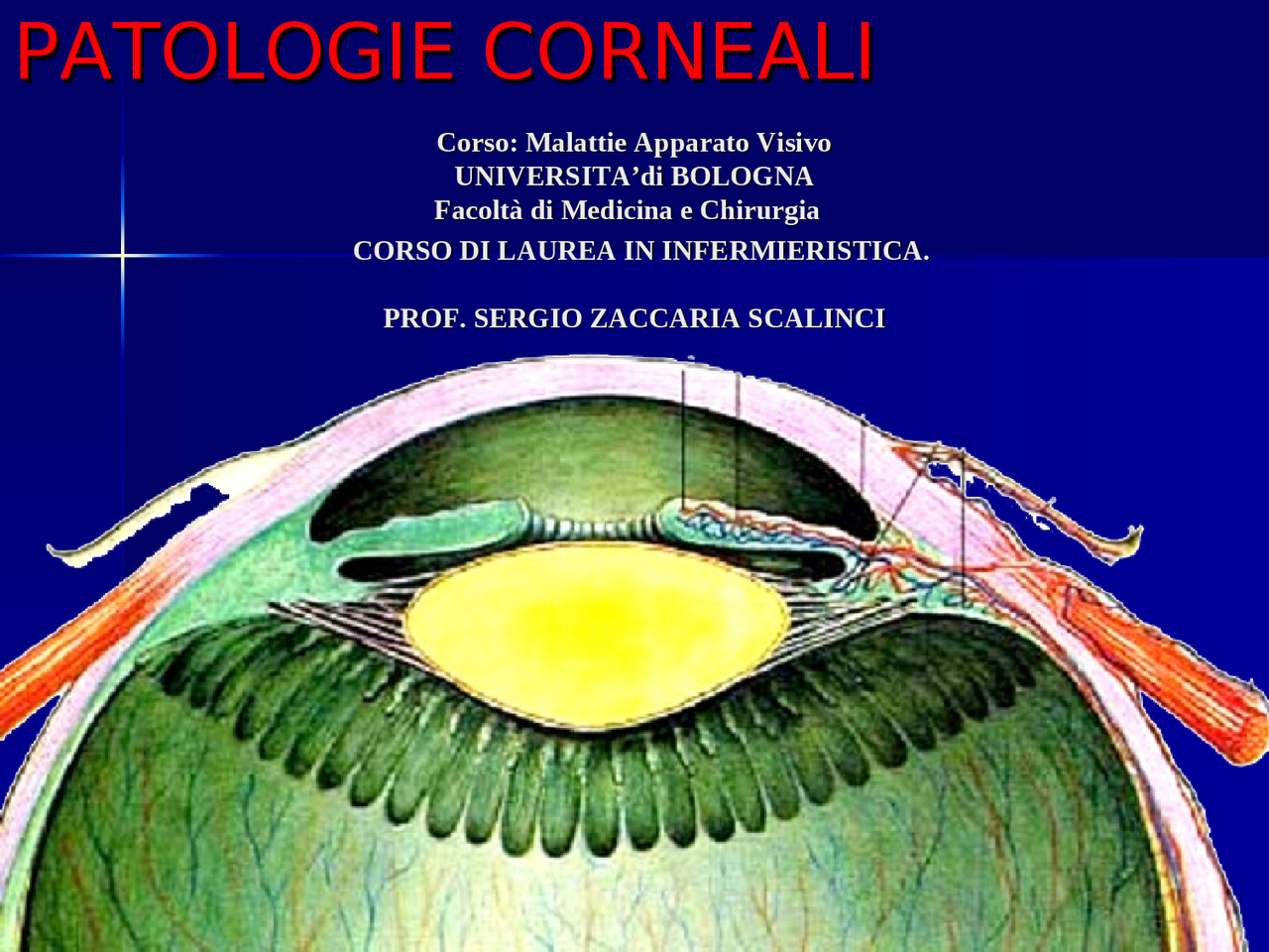 PATOLOGIE CORNEALI, CHERATITI | Appunti di Anatomia | Docsity