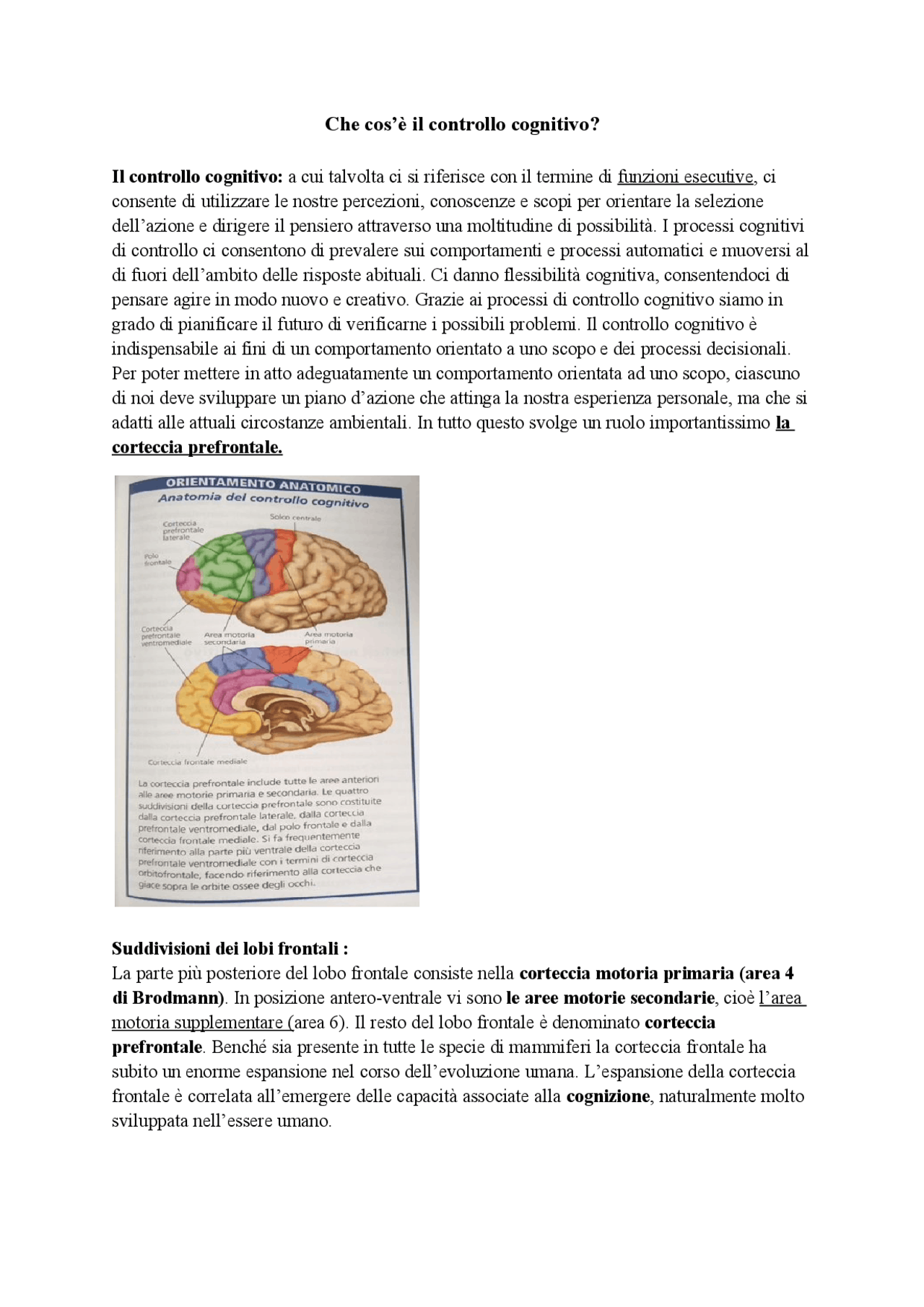 Neuroscienze Cognitive Gazzaniga Docsity