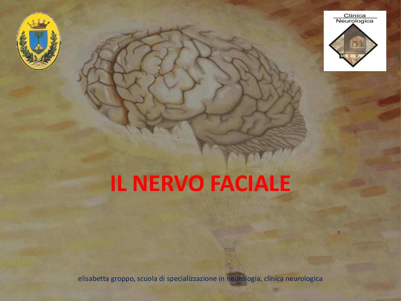 Il nervo faciale dispense - Docsity