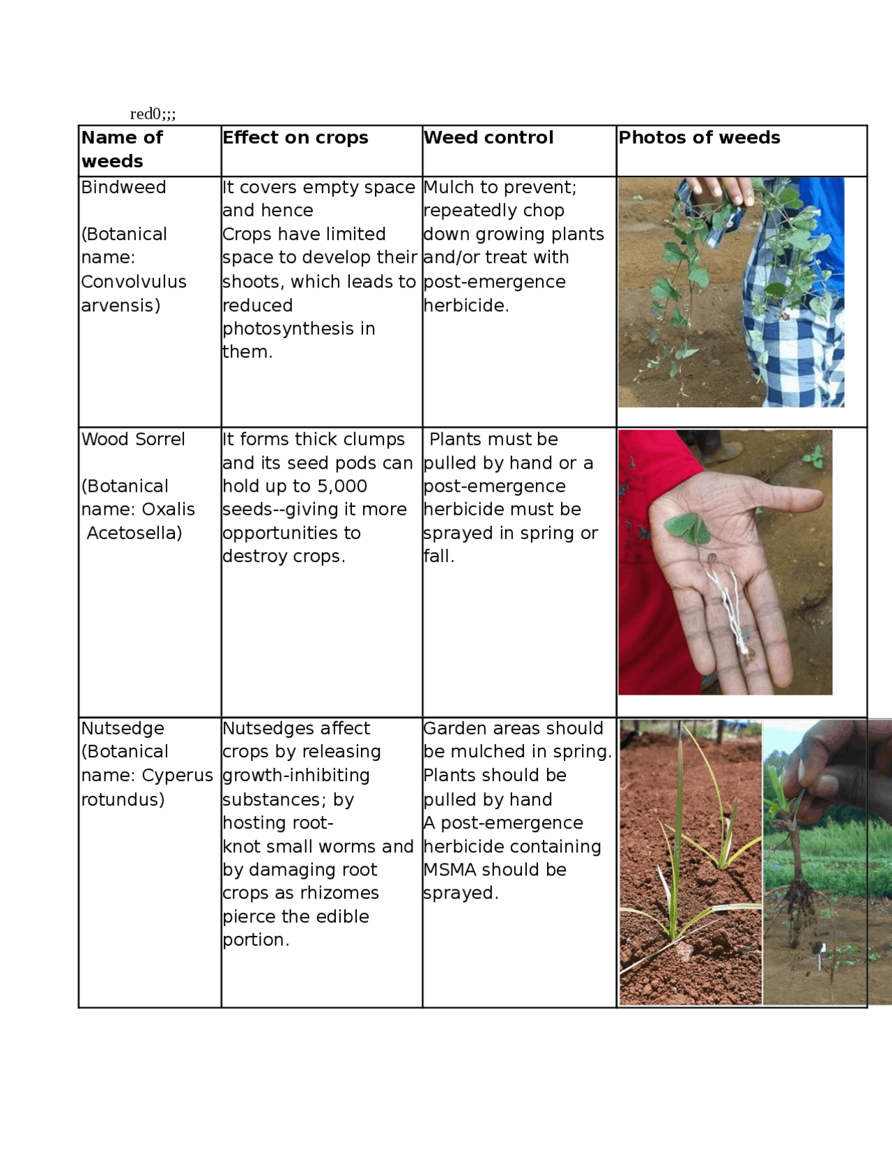 Weeds and their effects on crops - Docsity