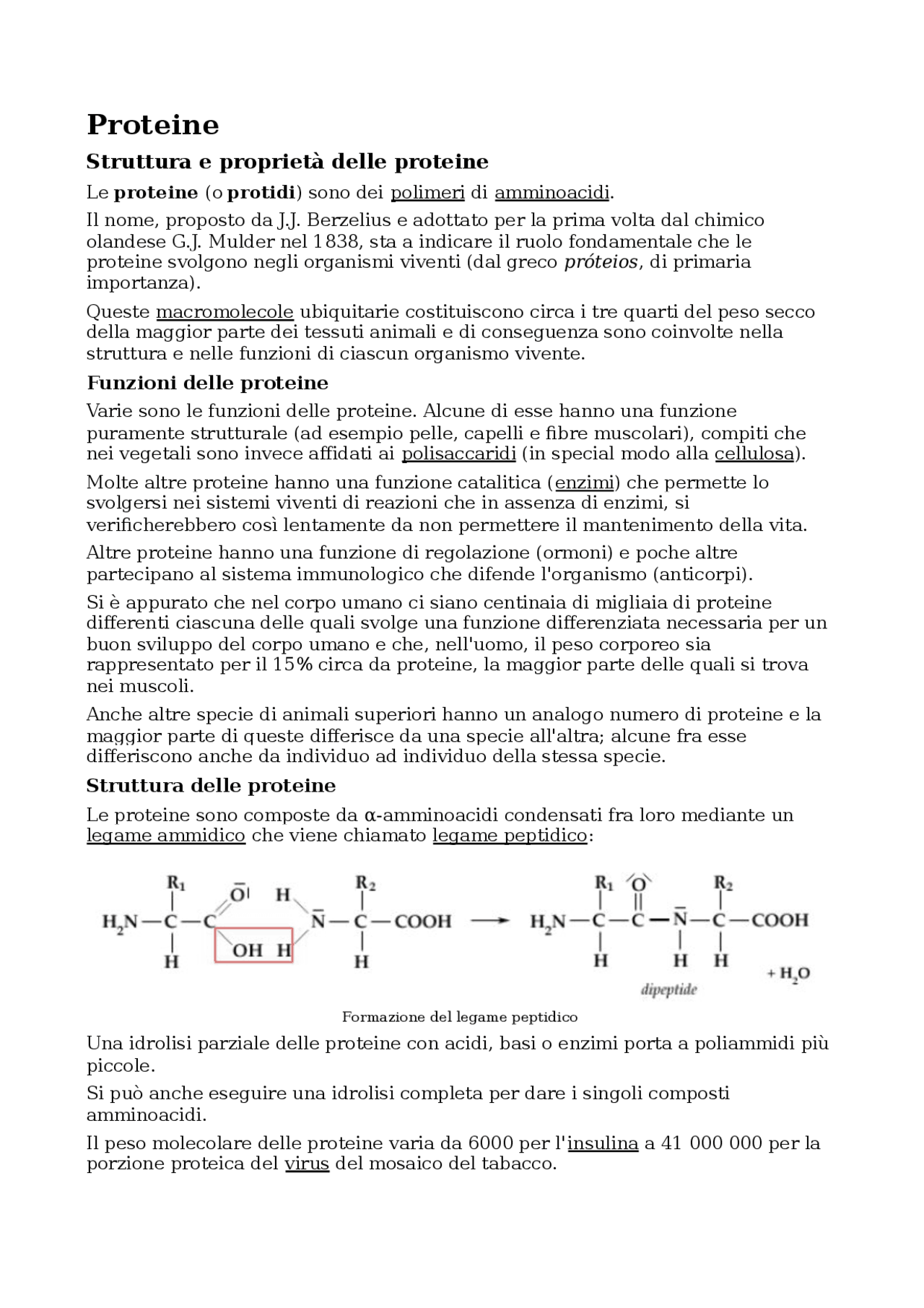 Proteine Struttura Delle Proteine Docsity