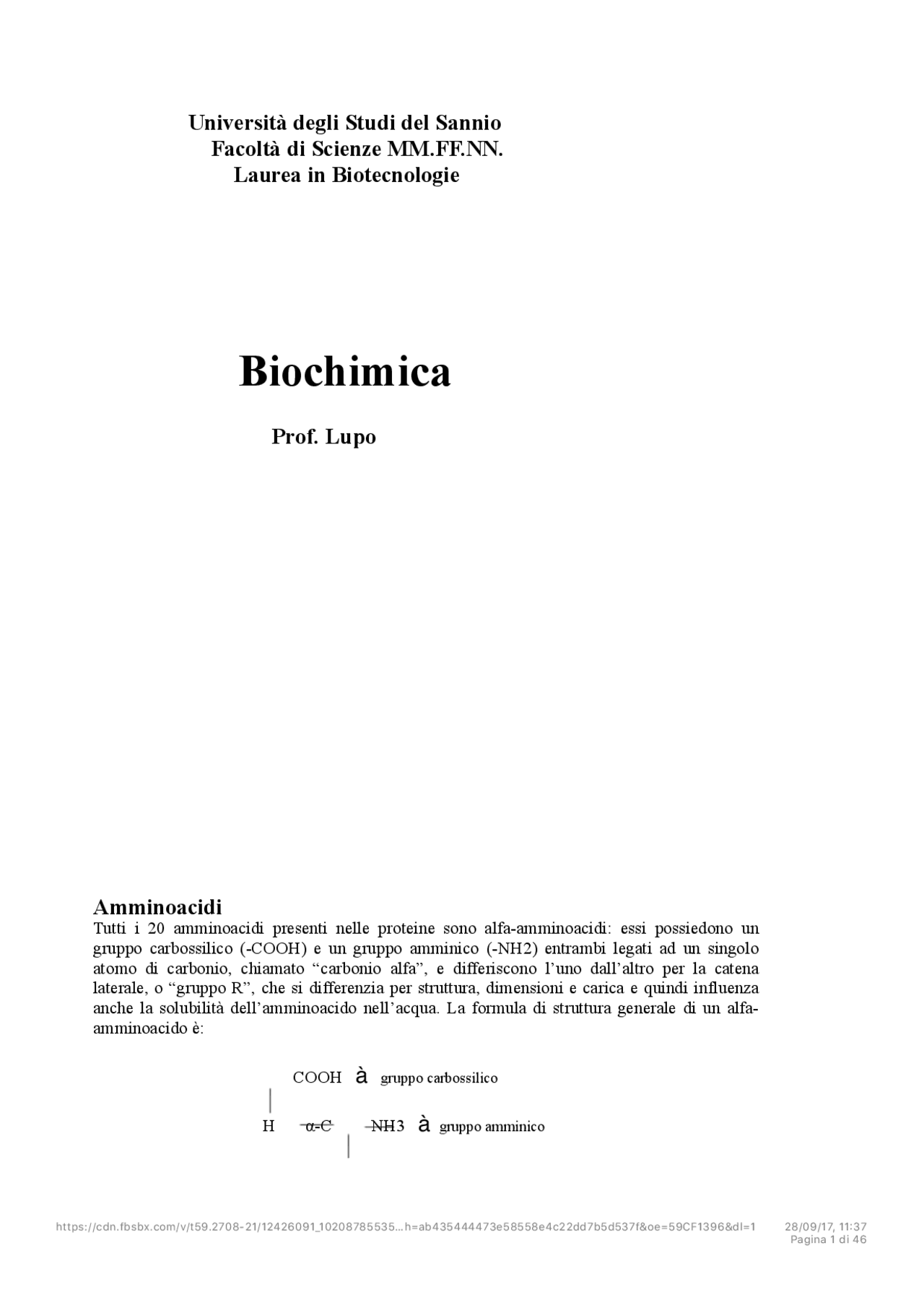 Appunti Di Biochimica Docsity