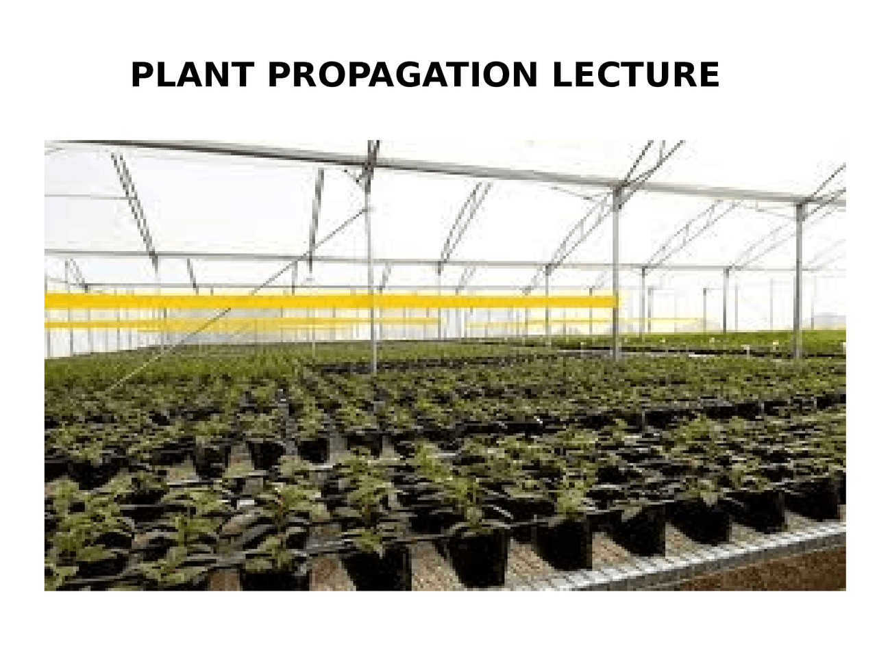 Plant Propagation lecture notes concise for easy understanding - Docsity