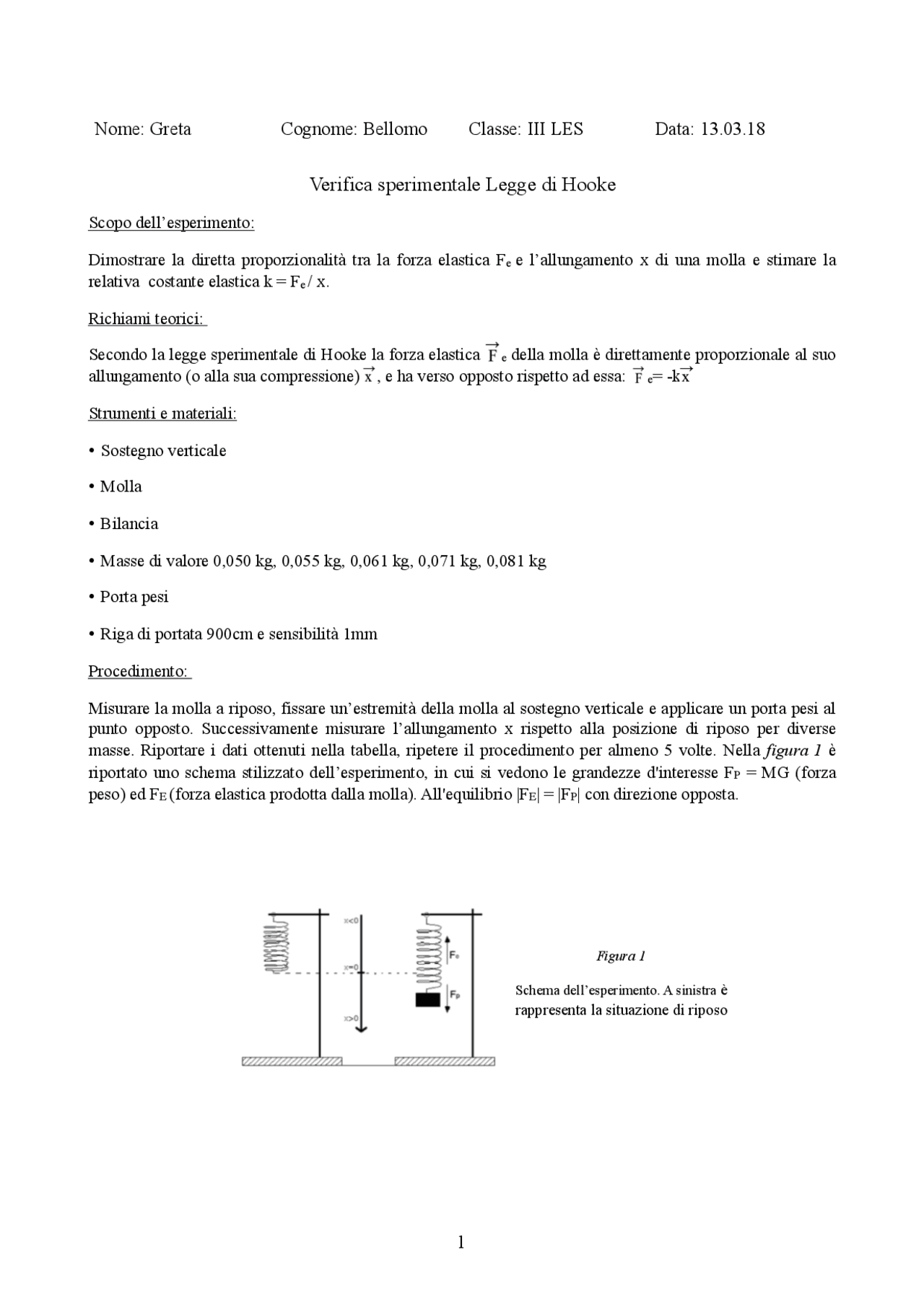 Relazione laboratorio legge di Hooke | Appunti di Fisica | Docsity