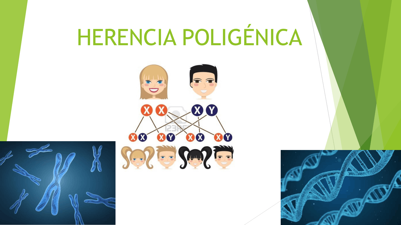 HERENCIA POLIGÉNICA y herencia no mendeliana | Diapositivas de Genética ...