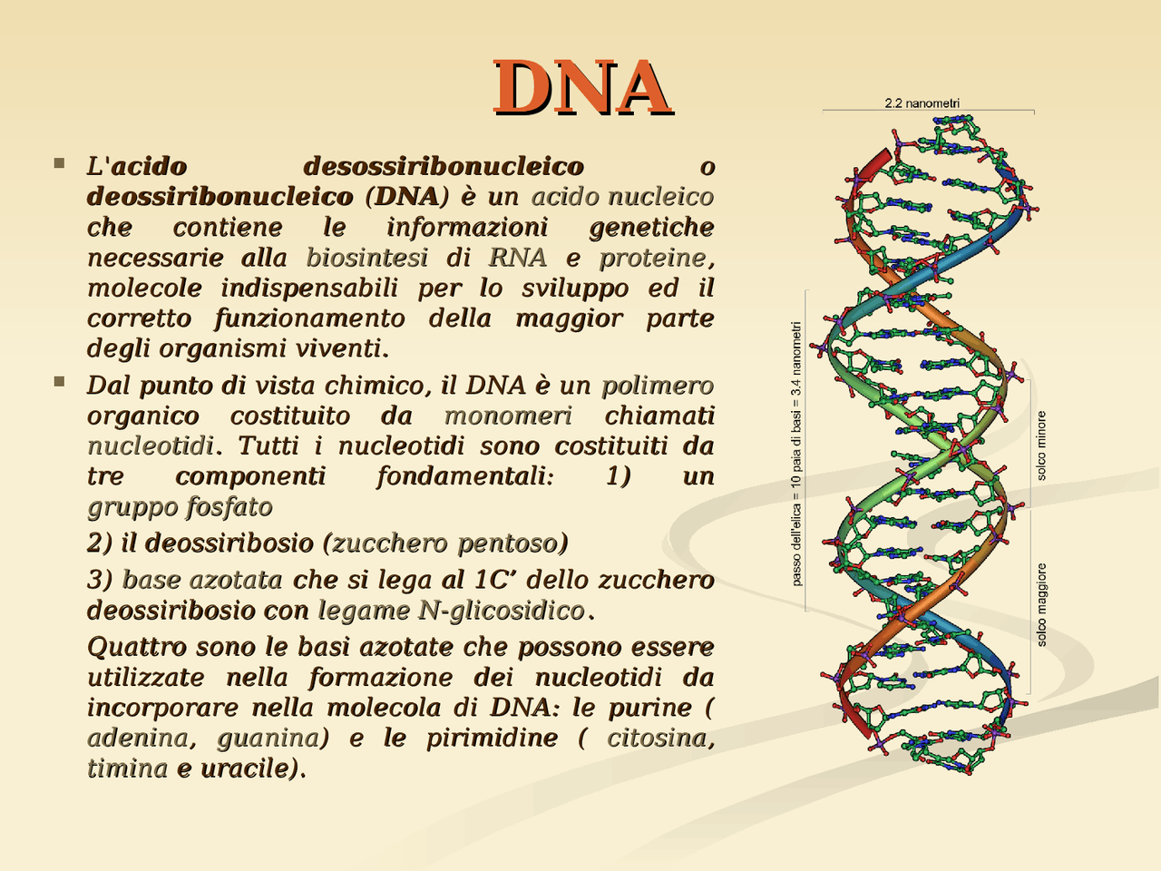 Malattie Genetiche: DNA, RNA, malattie genetiche, sintesi proteica e ...