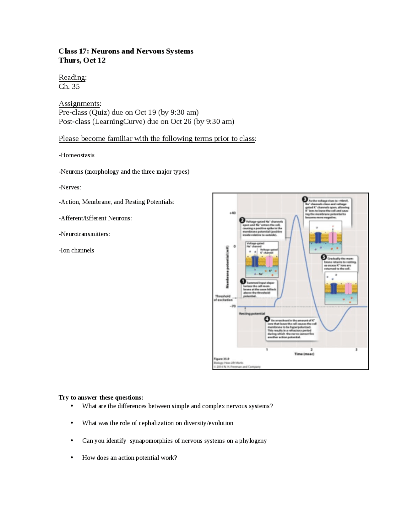 Biology Study Guides | Study notes Biology of microorganisms | Docsity