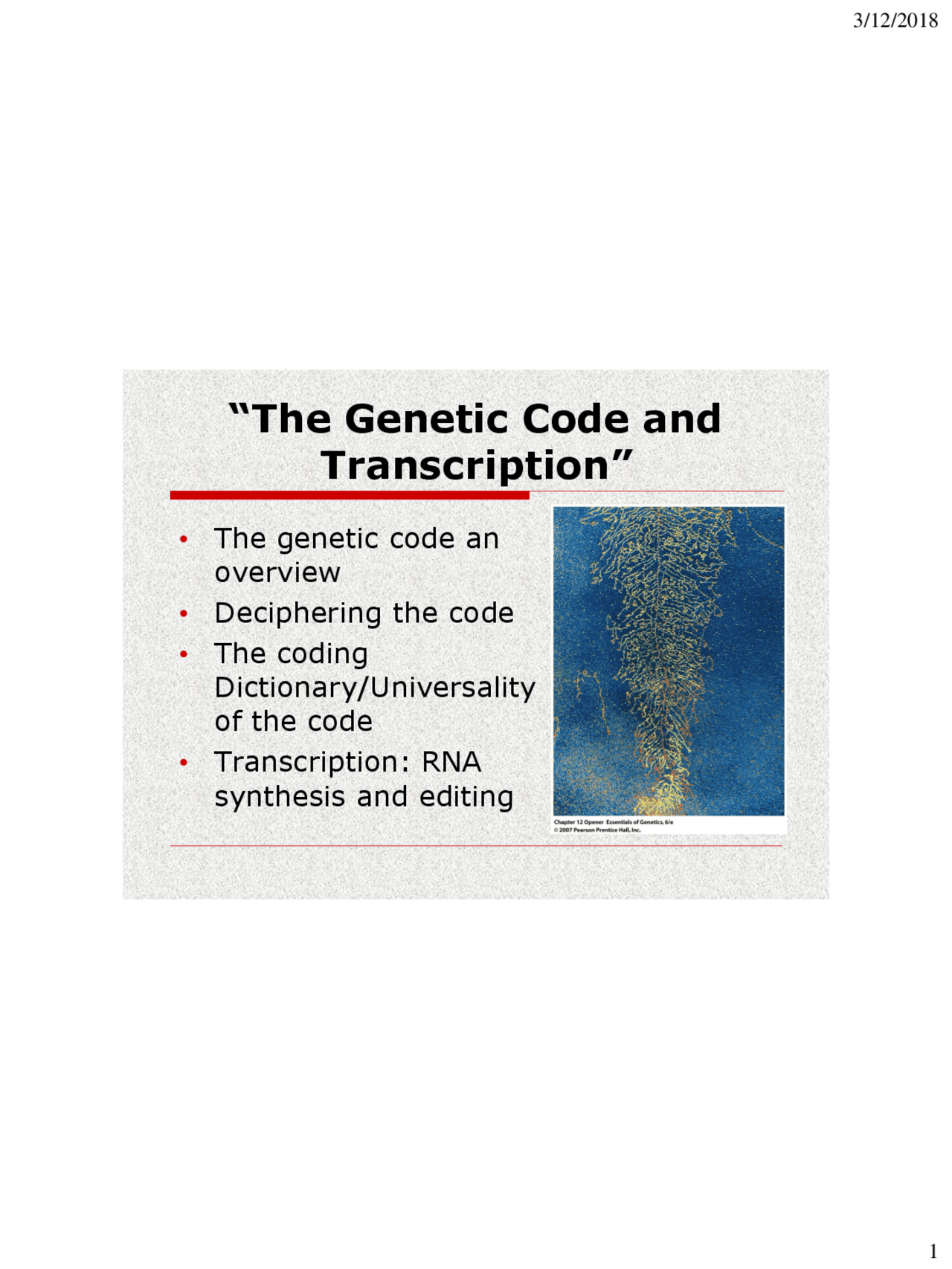 The Genetic Code And Transcription Lecture Slides Socr 330 Docsity