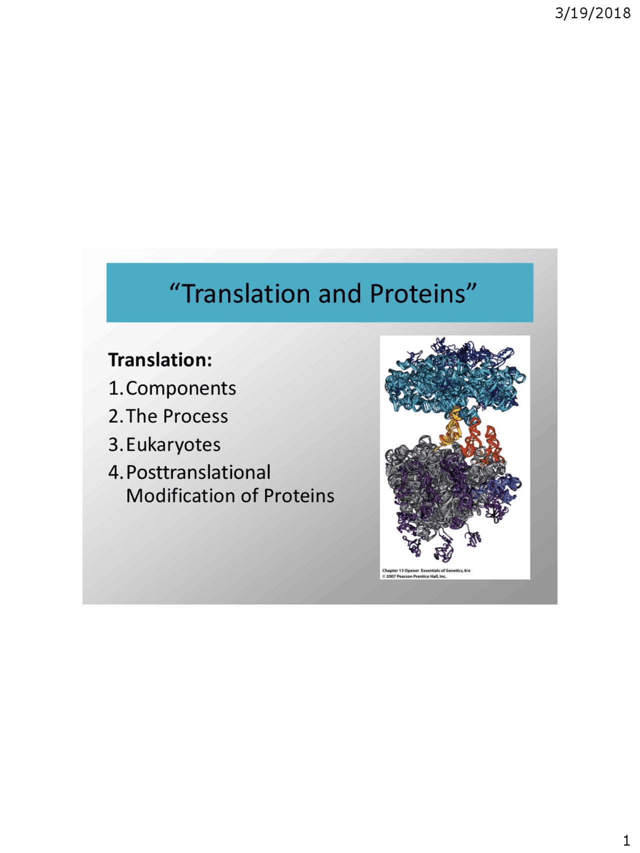 Translation And Proteins Lecture Slides Socr 330 Docsity