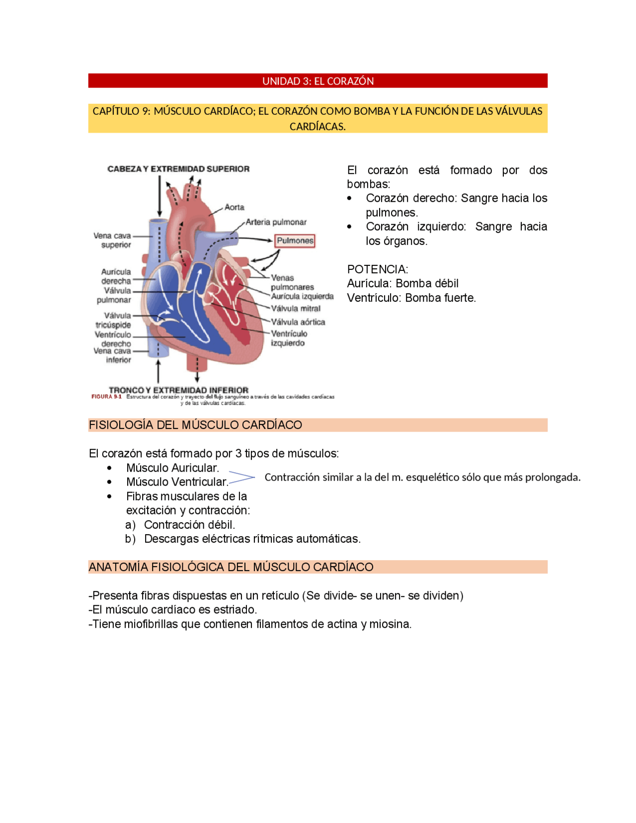 Fisiologia De Guyton Capitulo 9 Resúmenes De Fisiología Docsity