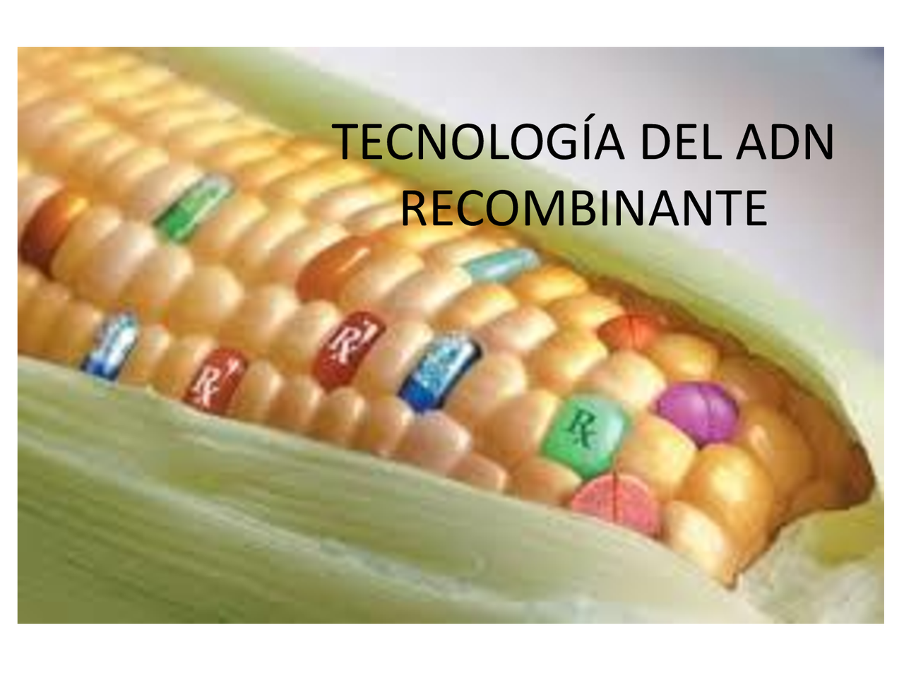 Tecnologia del ADN RECOMBINANTE - Docsity