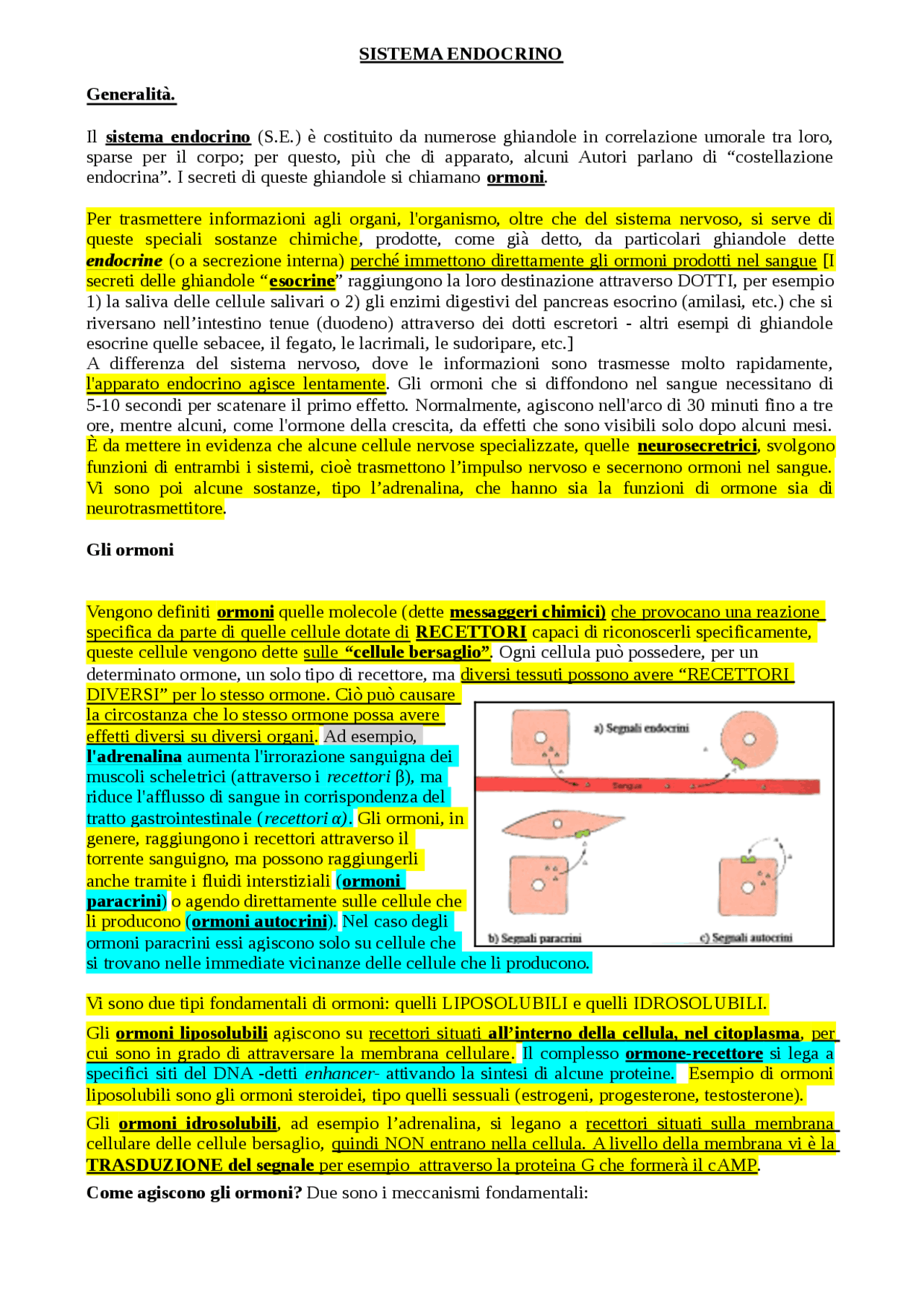 Sistema Endocrino E I Vari Tipi Di Ormoni Docsity