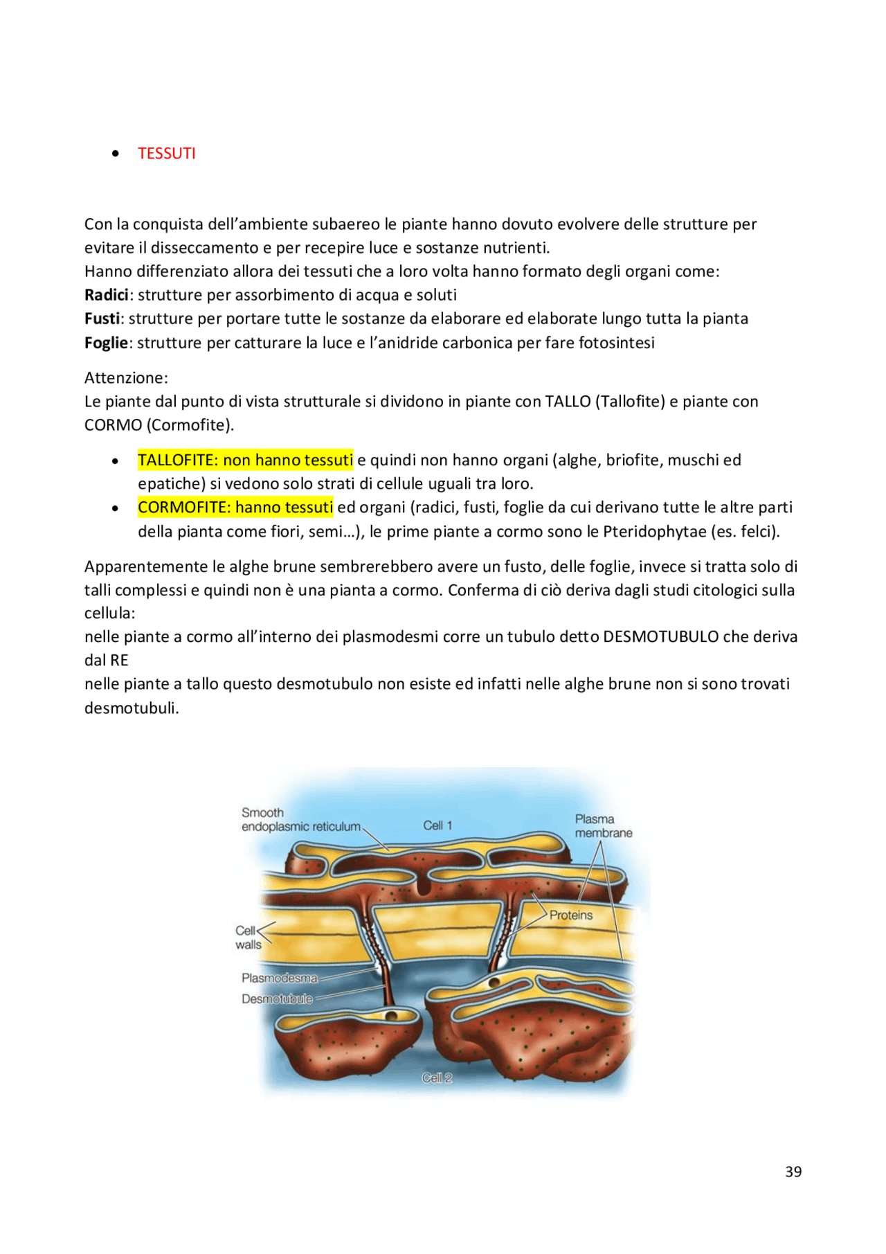 Botanica Parte Generale 2 Docsity