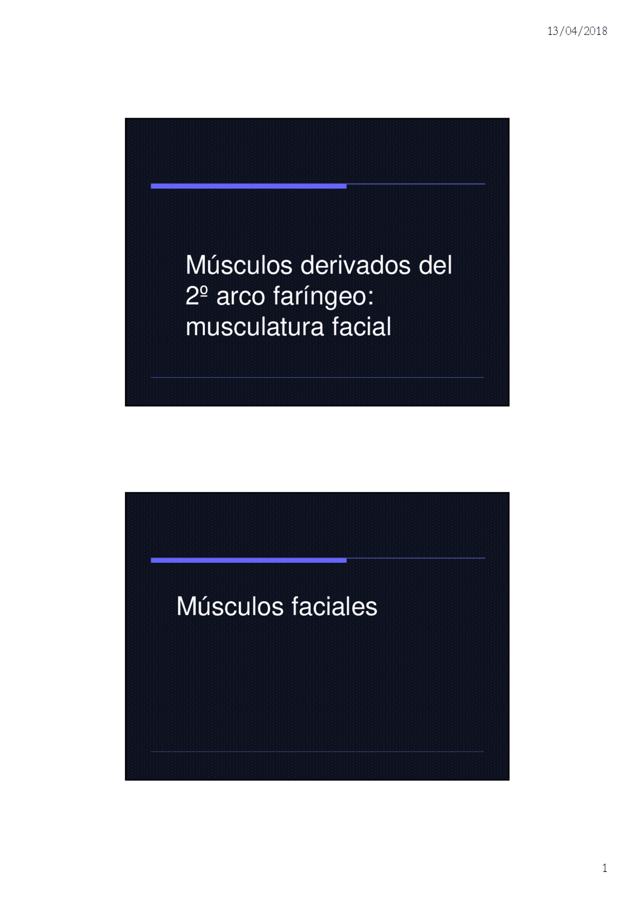 Músculos derivados del segundo arco faríngeo - Docsity