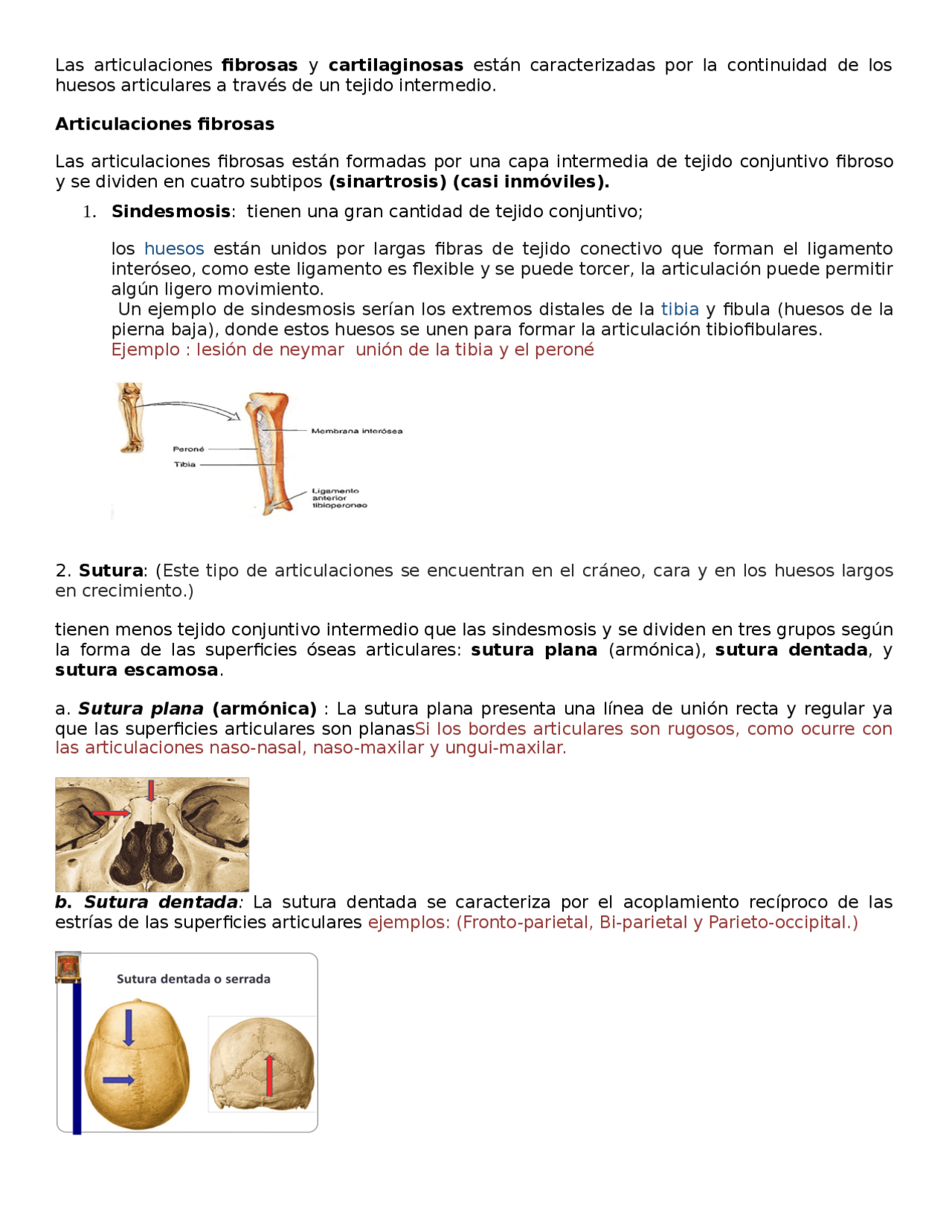 Resumen Articulaciones Docsity