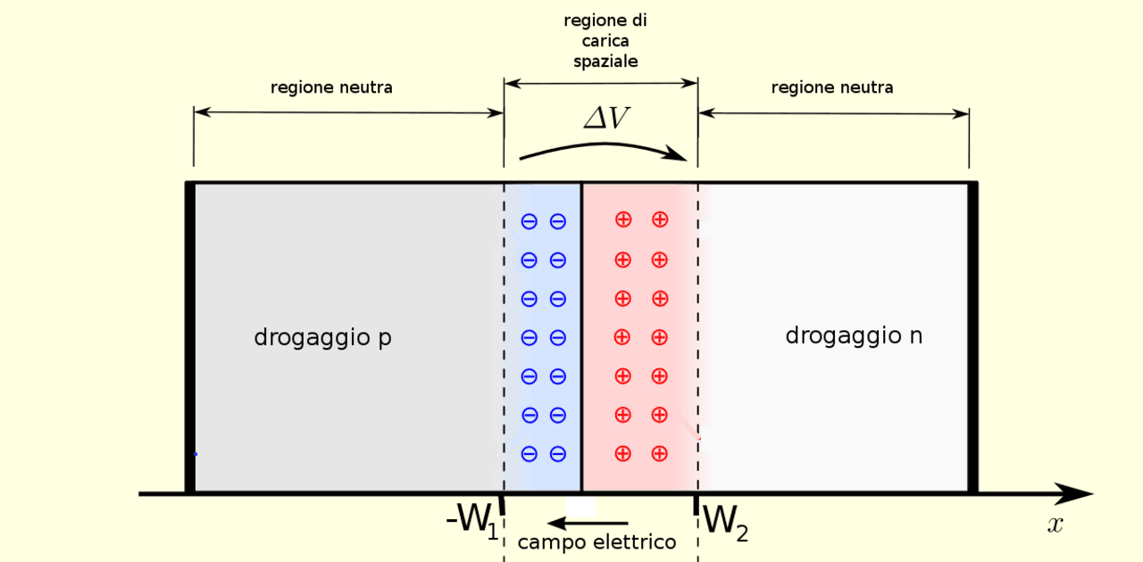 Drogaggio P E N Docsity