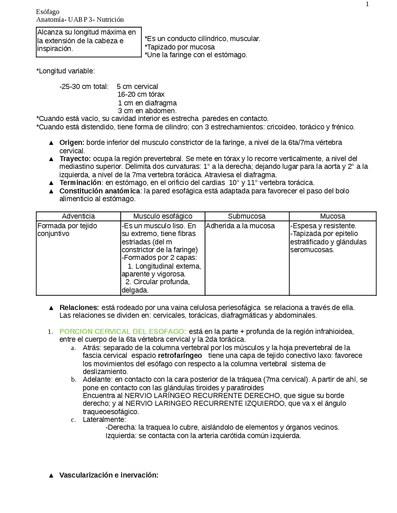 Anatomia Sistema Digestivo Resúmenes De Anatomía Docsity