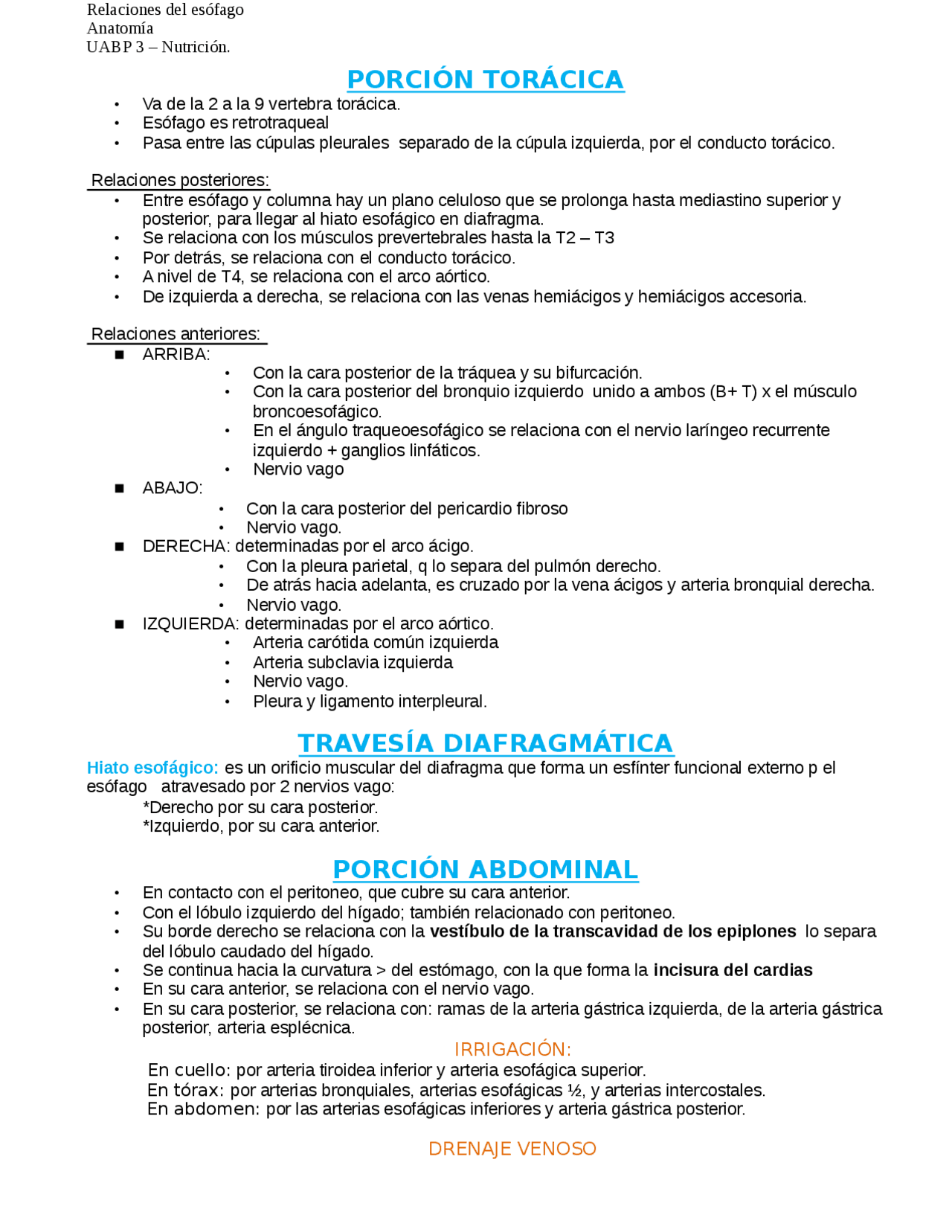 Anatomia Sistema Digestivo Docsity