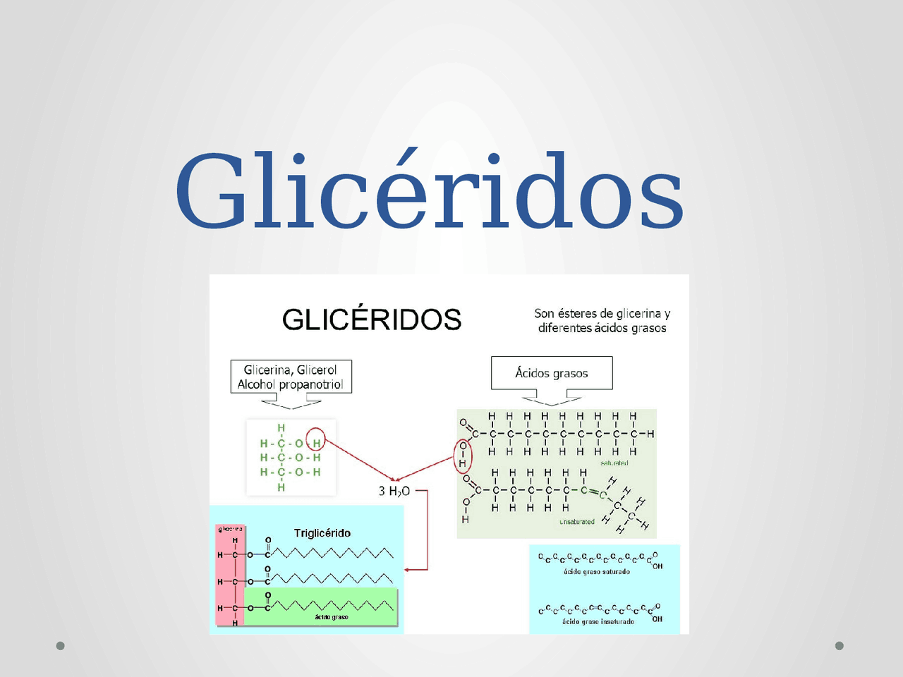 Estructura de los gliceridos - Docsity