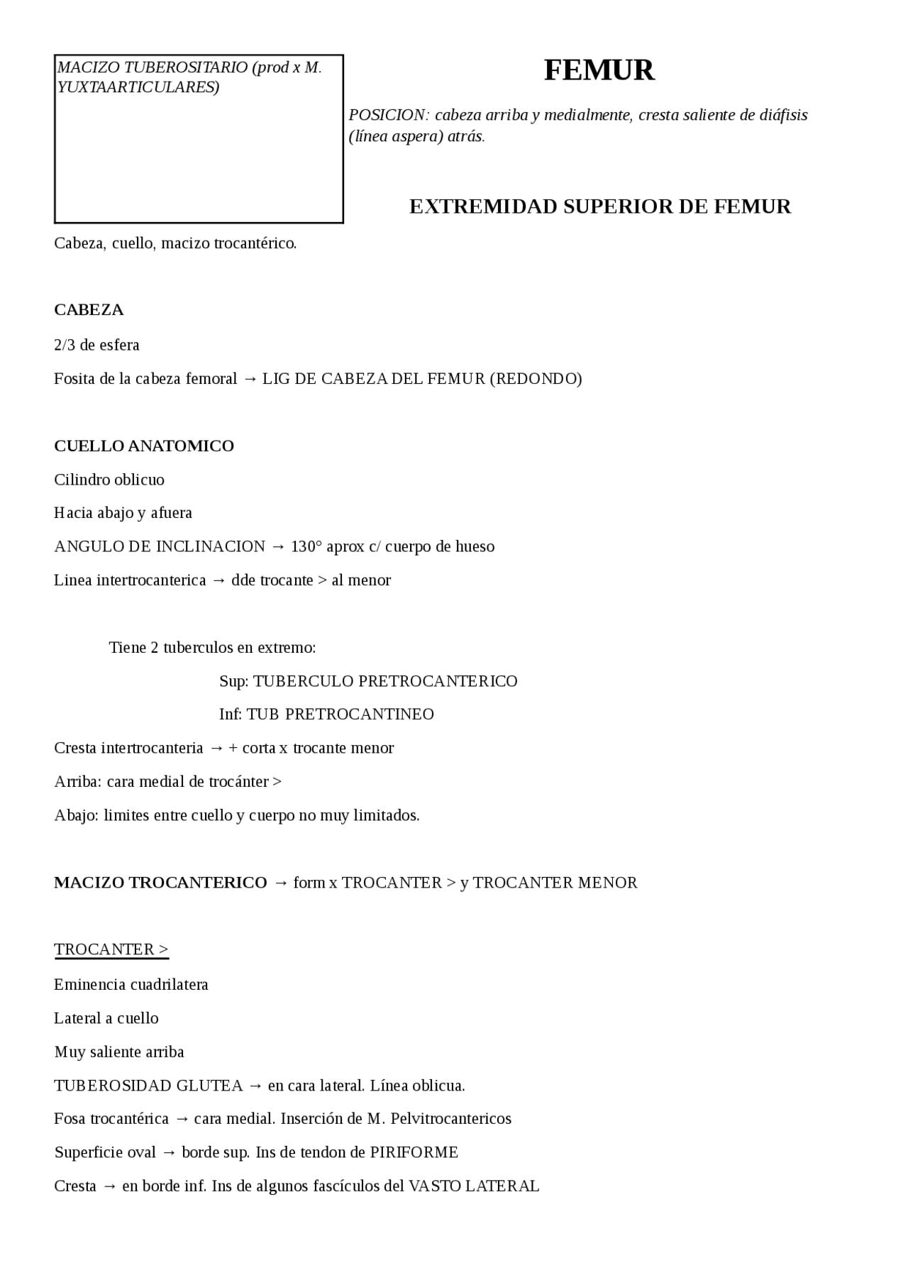 Accidentes Oseos De Femur Apuntes De Anatomía Docsity