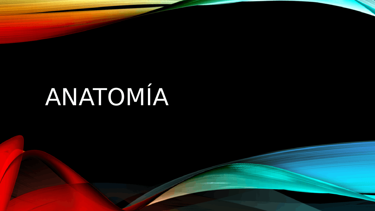 Introducción Anatomía Diapositivas De Anatomía Docsity