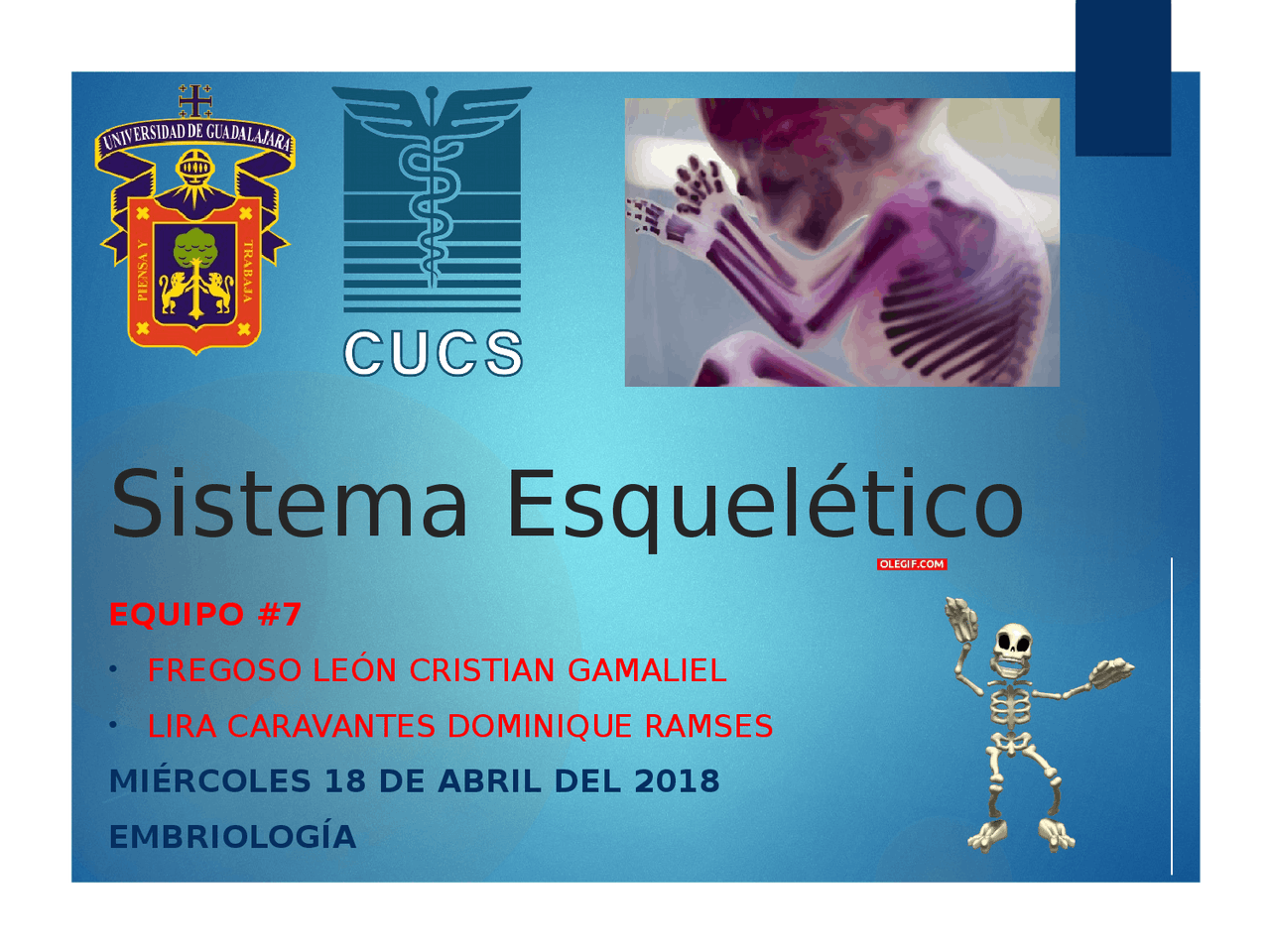 Embriología Del Sistema Esquelético Docsity
