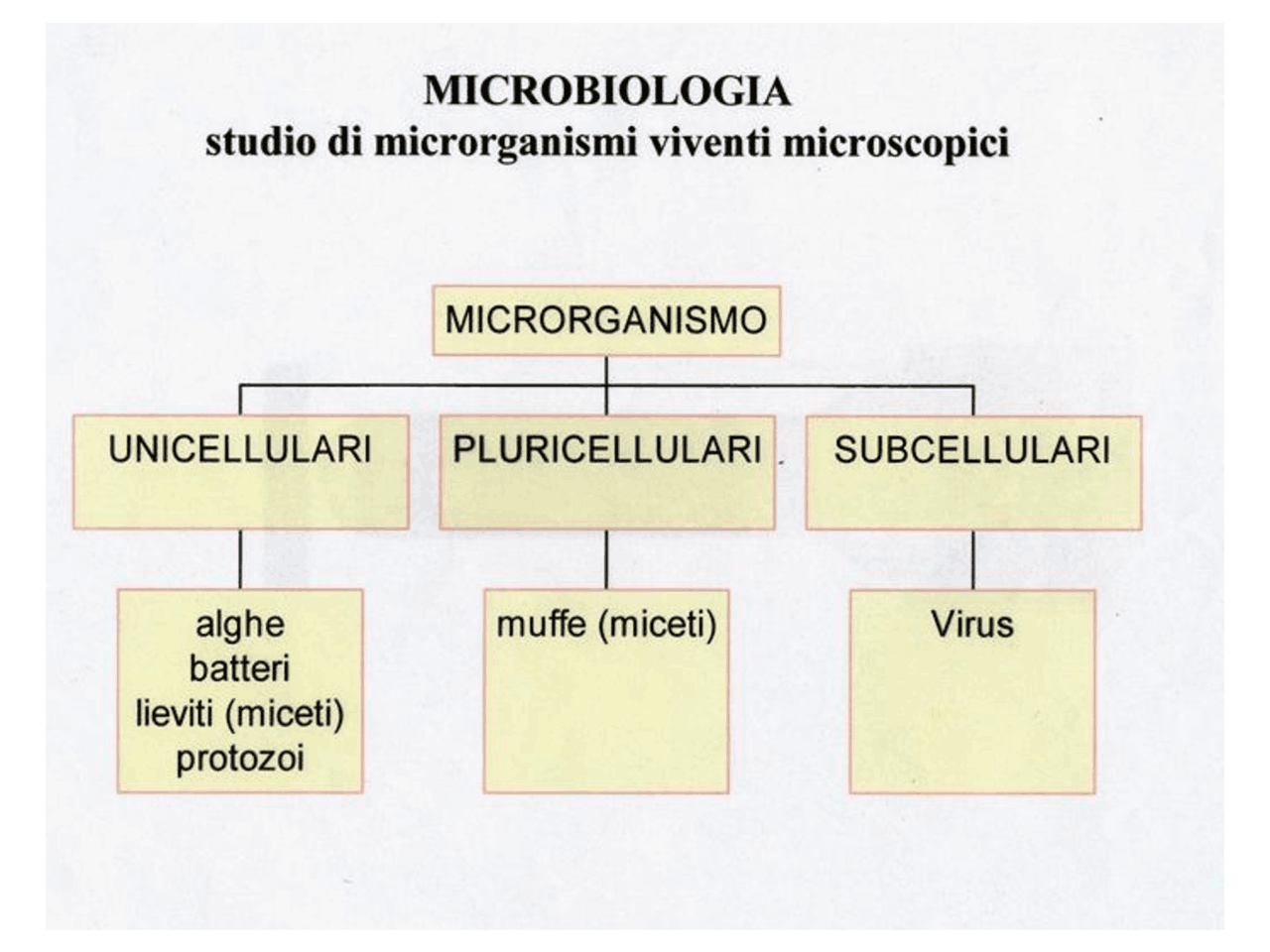Esame Igiene Generale Docsity