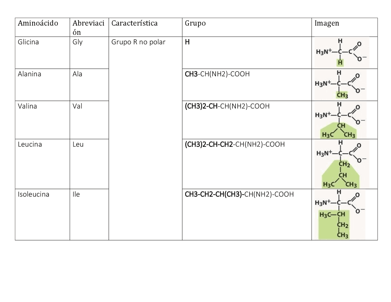Grupo R Aminoacidos y sus caracteristicas - Docsity