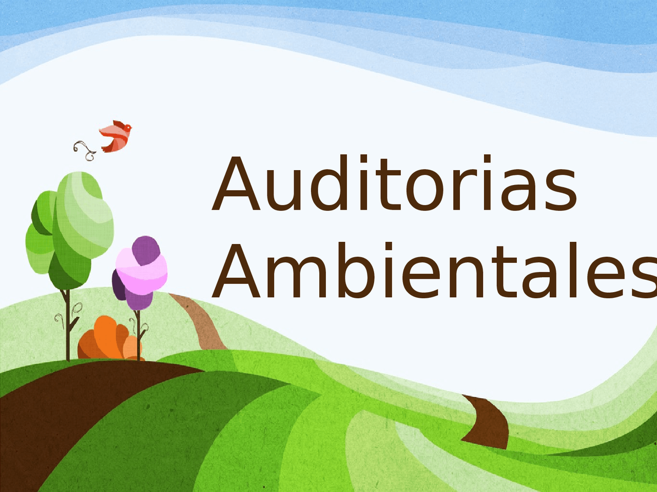Auditorias Ambientales Generalidades Concepto Docsity
