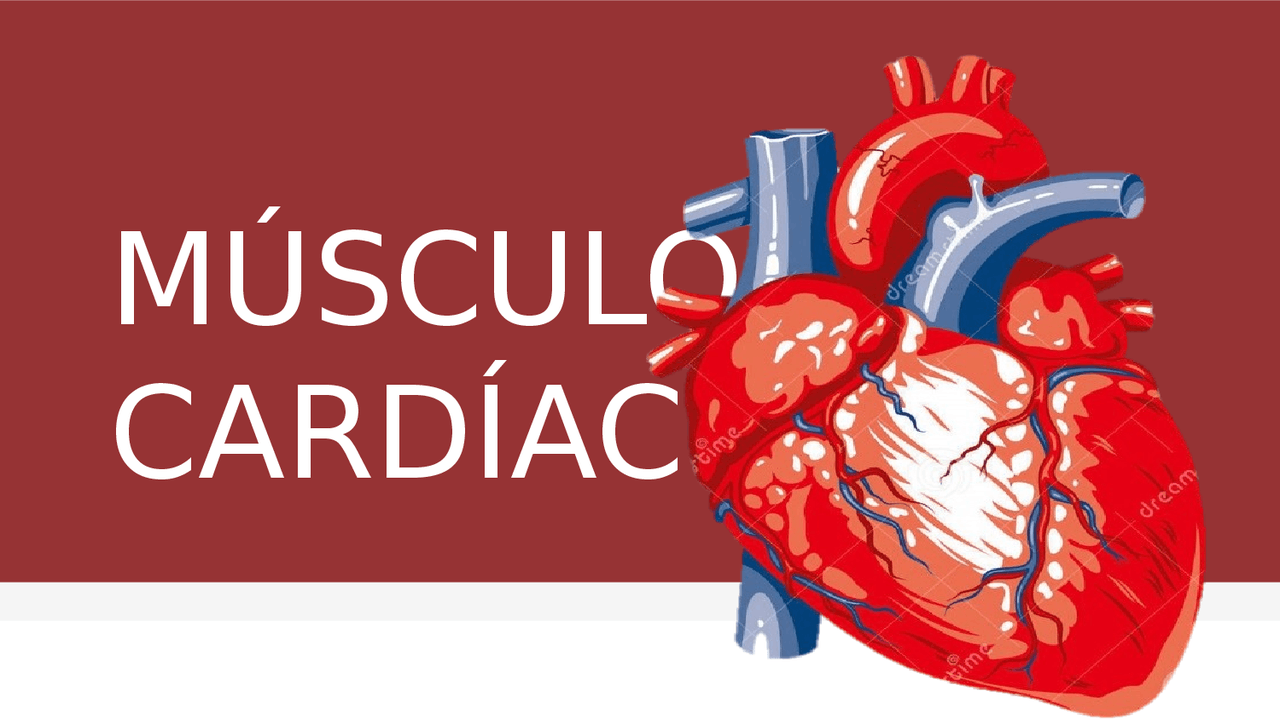 Es el musculo del corazón esta ompuestopor fibras musculas que sorman ...