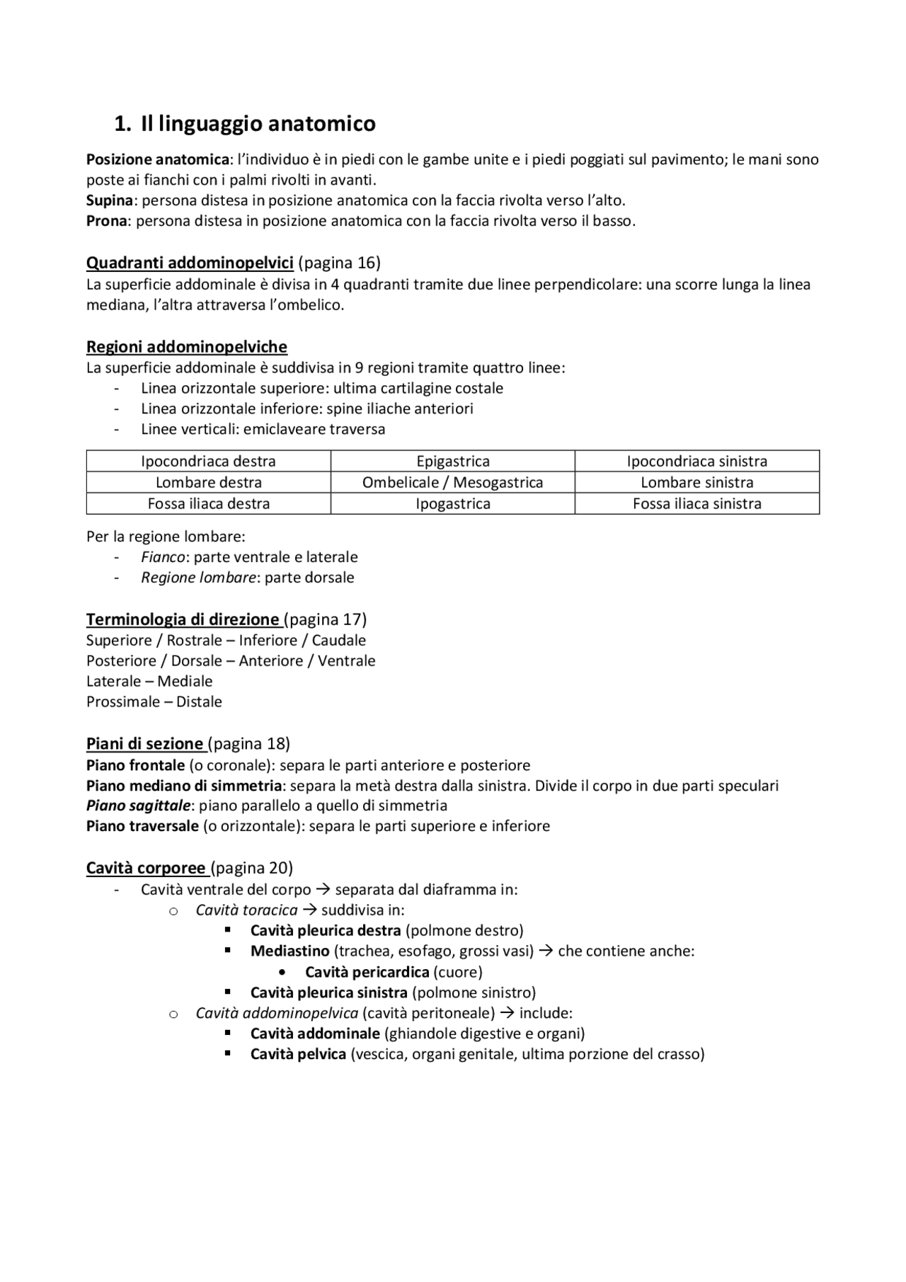 Riassunto Anatomia Umana Sintesi Del Corso Di Anatomia I Docsity