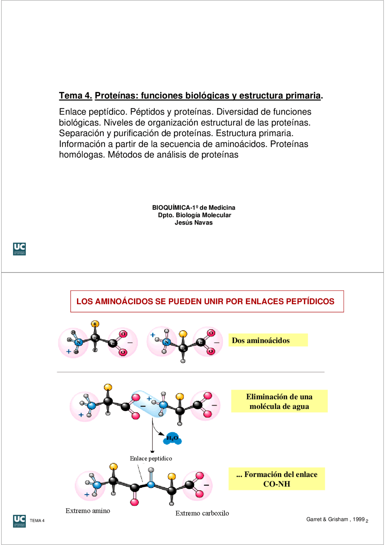 Síntesis De Proteínas Slides De Bioquímica Docsity