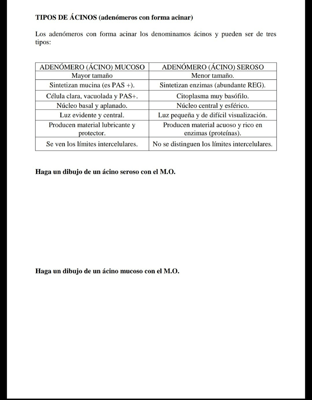 Tejido Epitelial Glándular Docsity