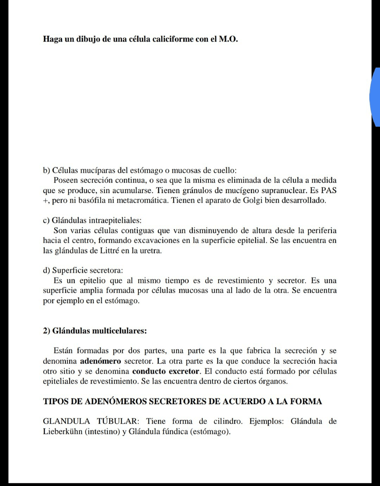 Tejido Epitelial Glándular Docsity