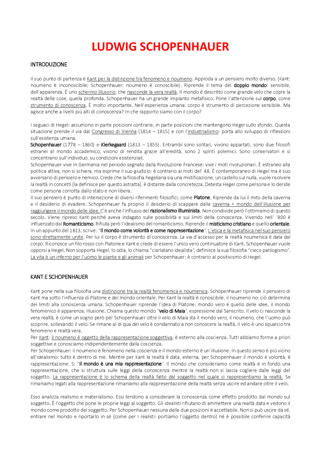 Appunti Su Ludwig Schopenhauer Docsity