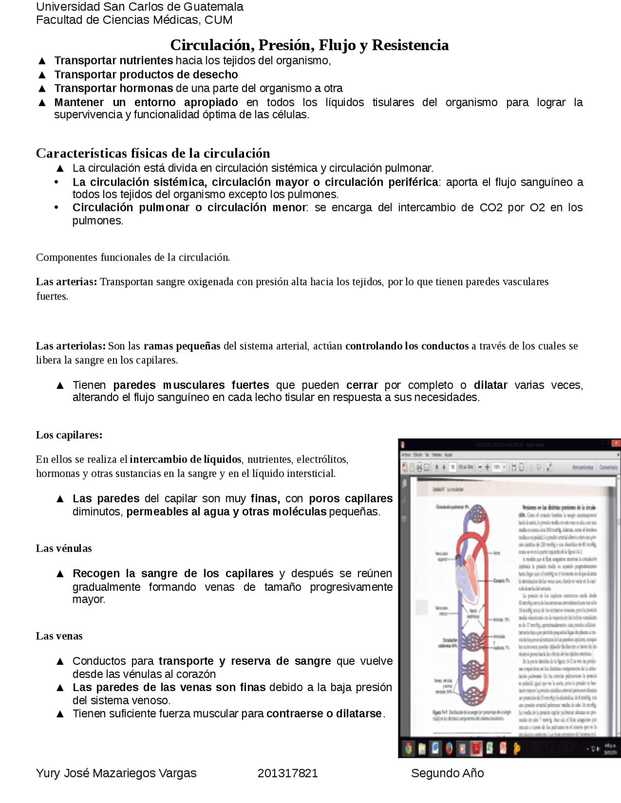 Capítulo 14 Guyton Circulación Presion Y Flujo Resúmenes De