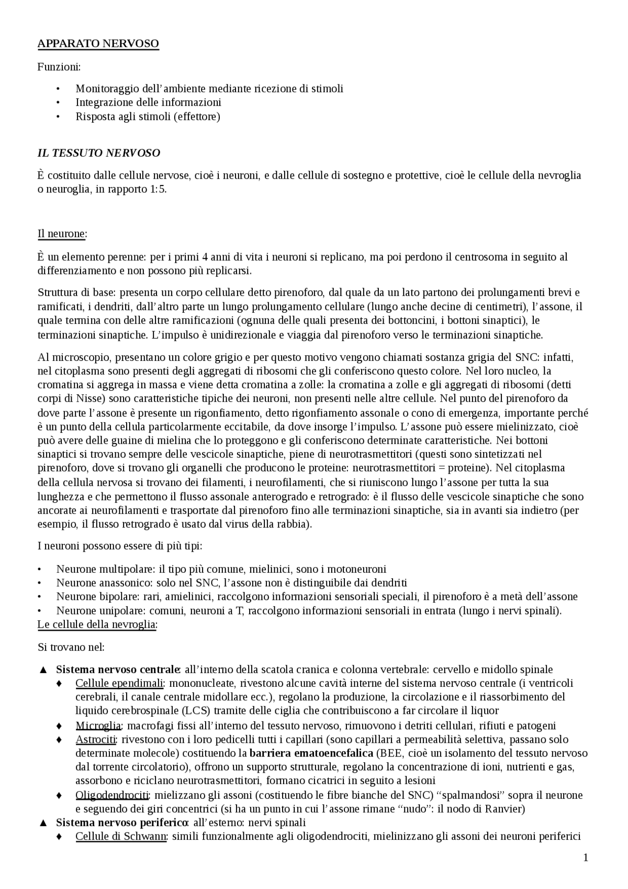 Anatomia Appunti Sistema Nervoso Docsity